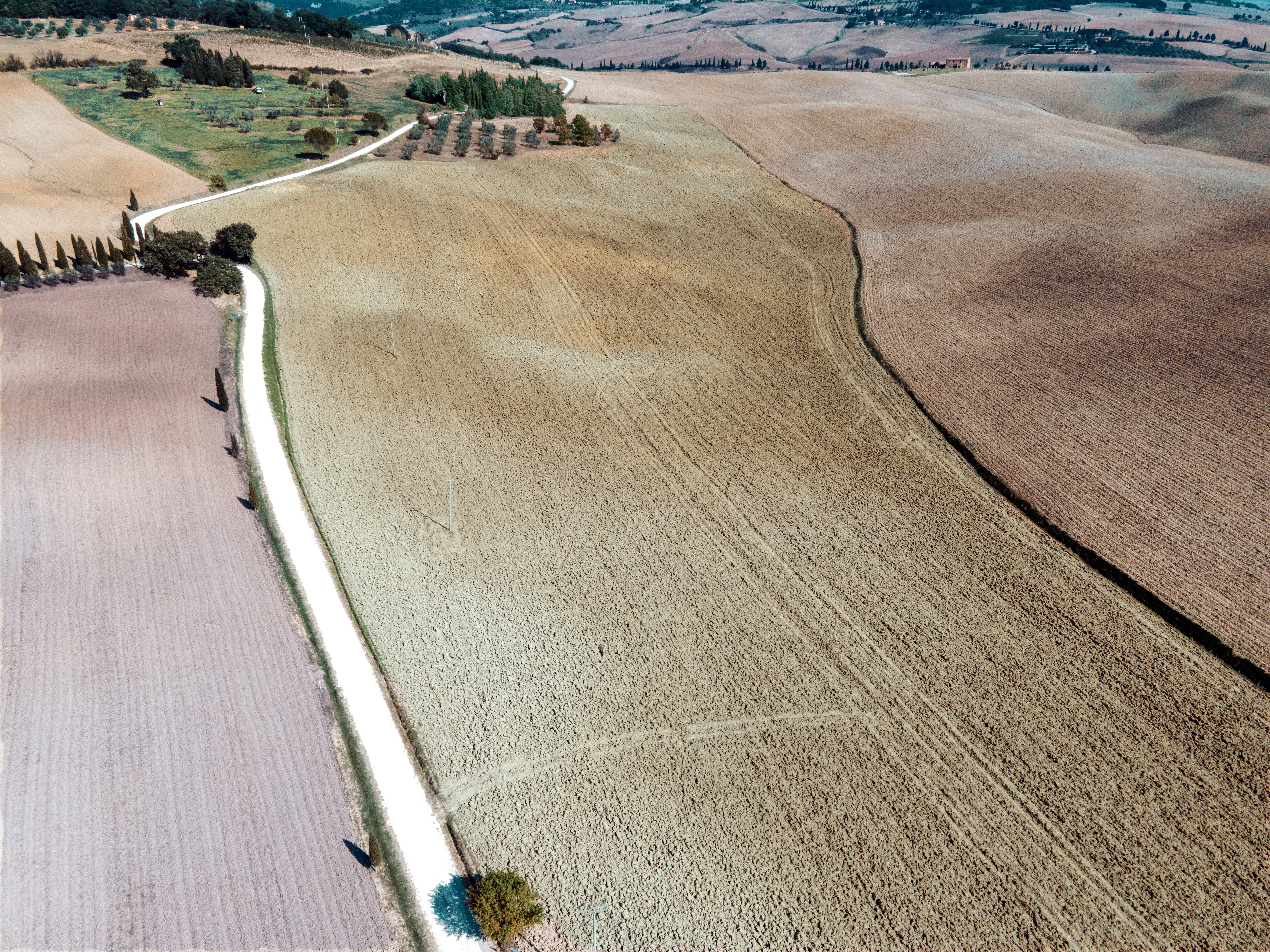 Aerial view of a winding dirt road meandering through expansive golden fields, bordered by lush greenery and trees. The landscape showcases the harmony of nature and agriculture.