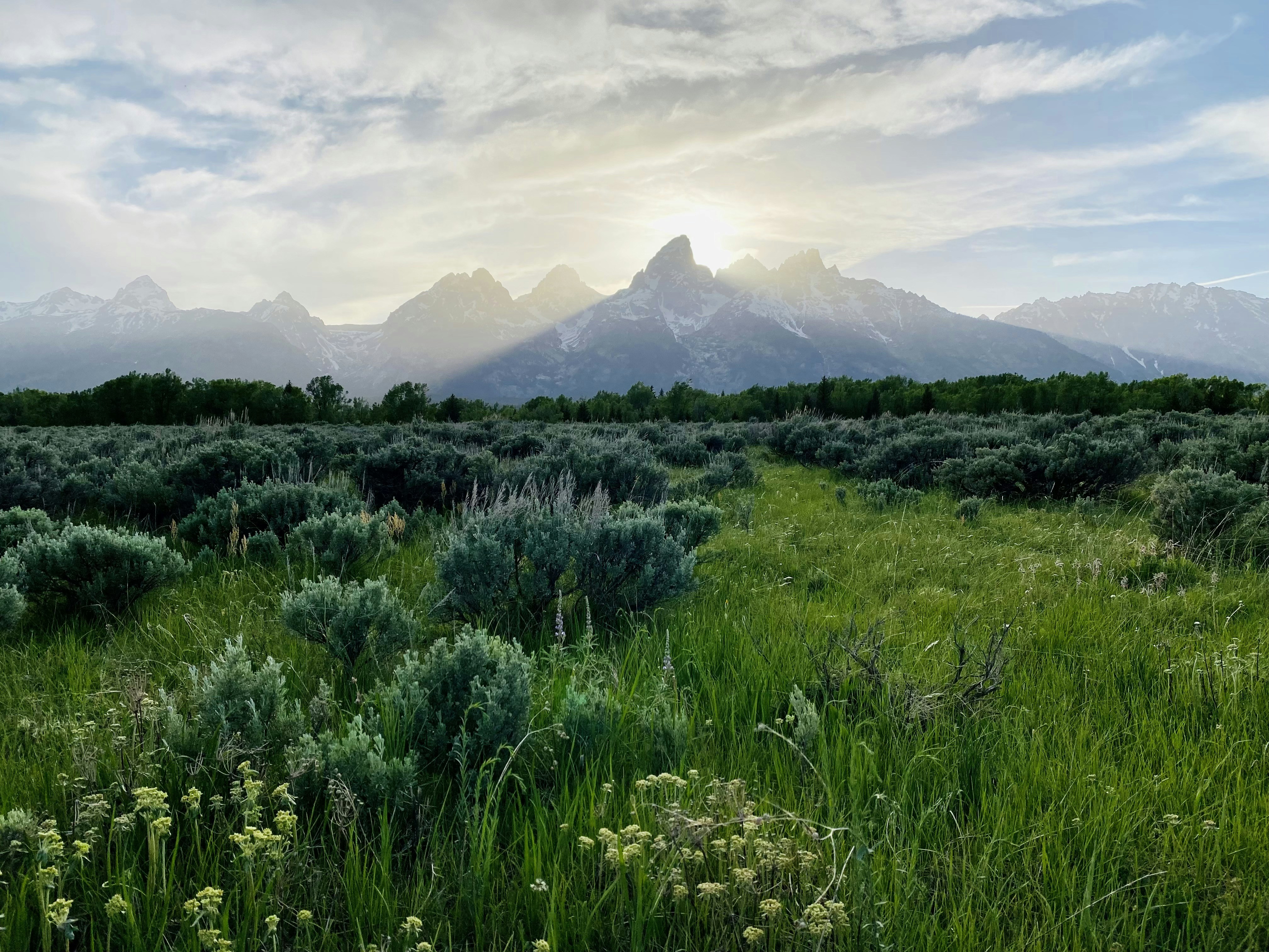 Dawn over Sagebrush Ridge: Snow-Capped Peaks Pierce the Morning Mist