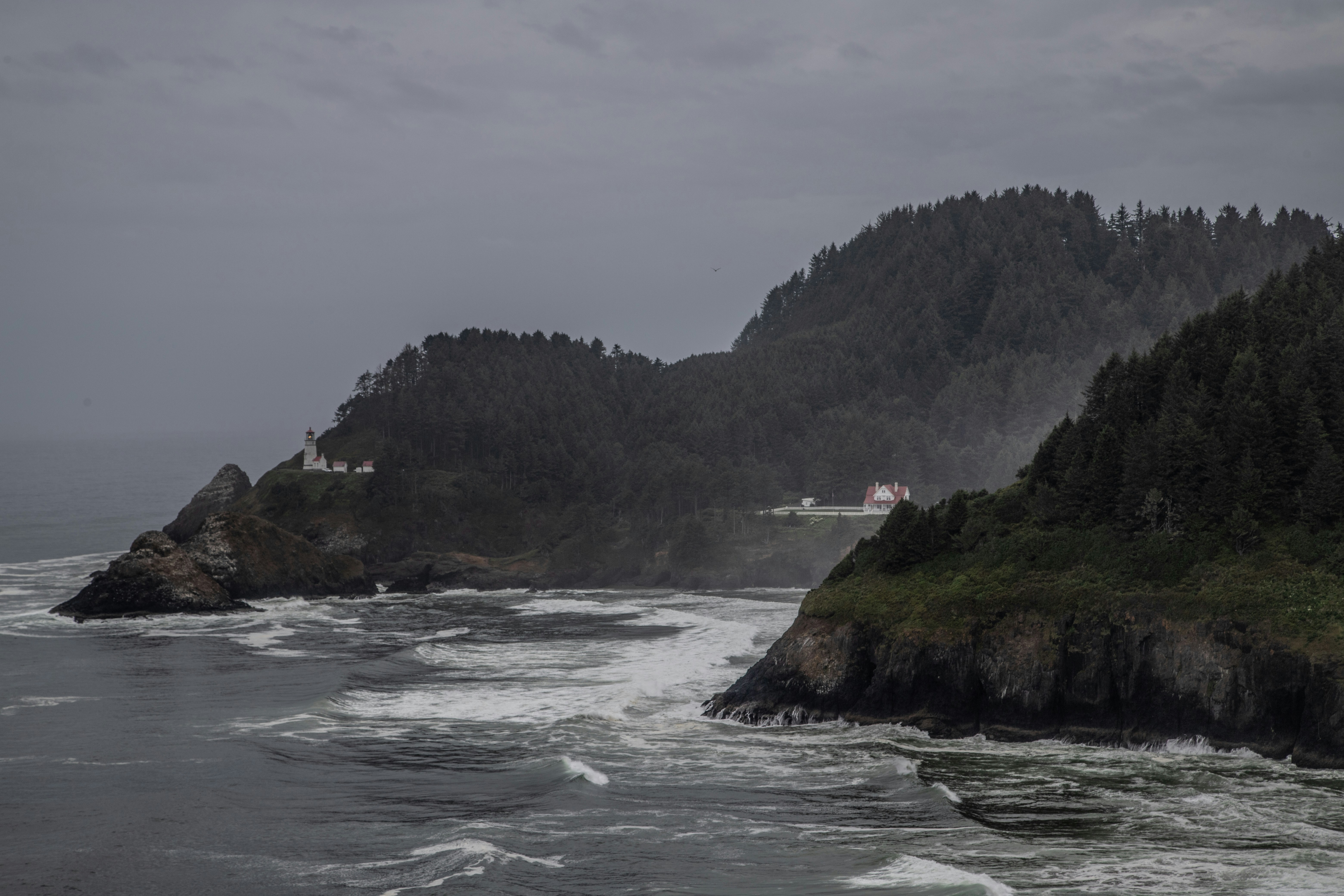 Mist-Laced Promontory: Distant Homes Along a Moody Atlantic Coast