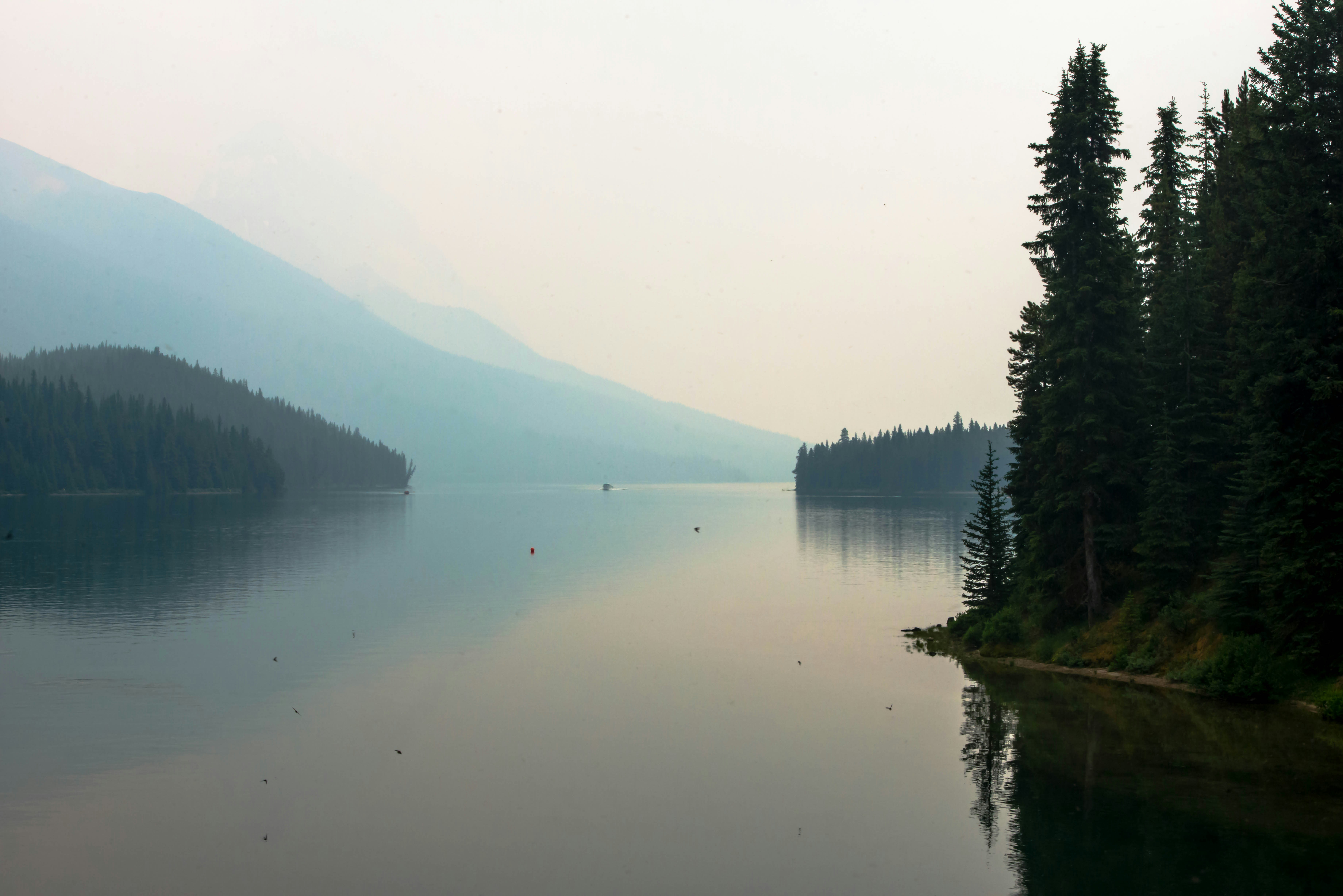 Misty lake reflecting surrounding mountains and coniferous trees, creating a tranquil atmosphere.