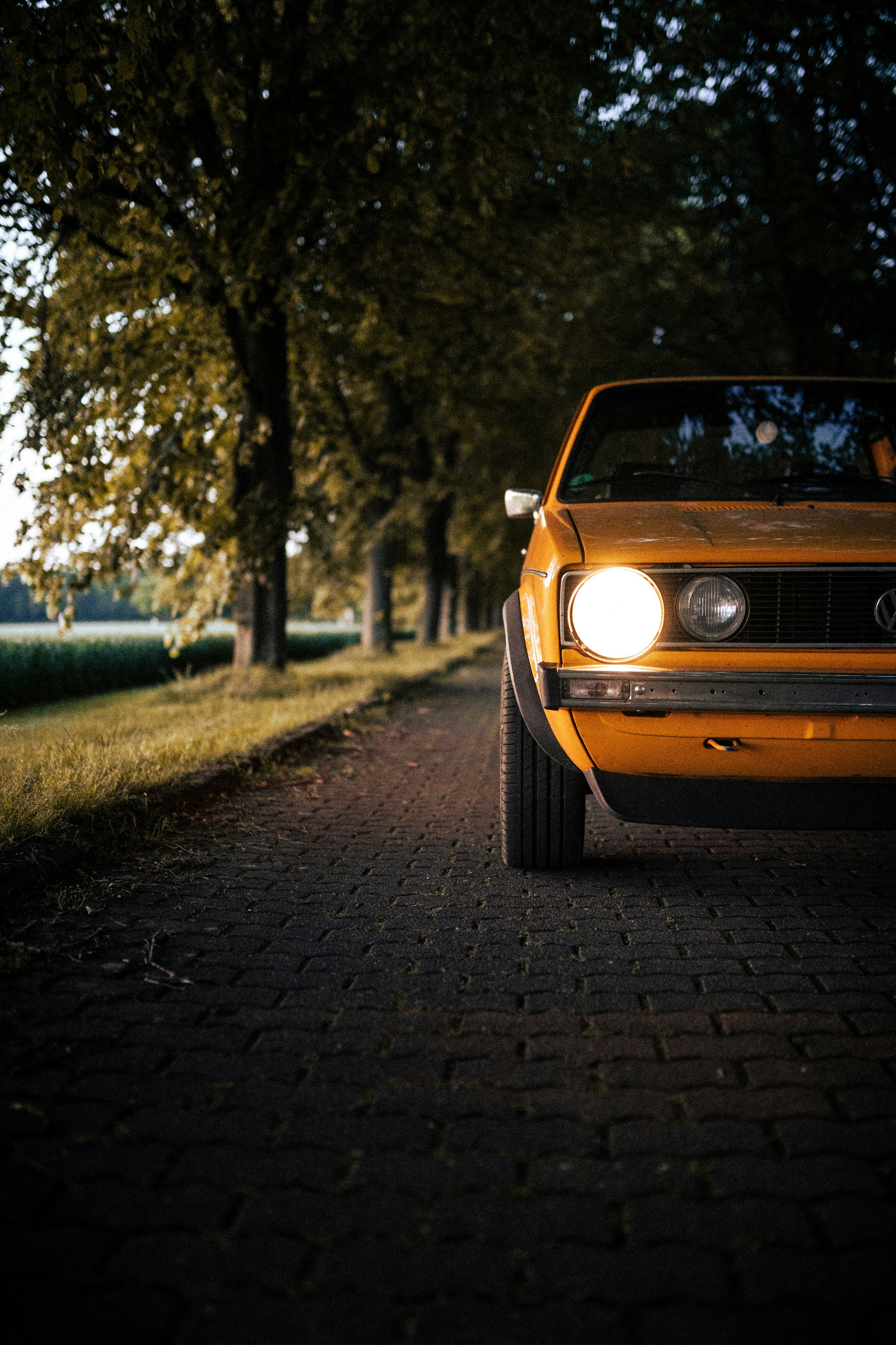 Golden Stallion on a Lantern-lit Road