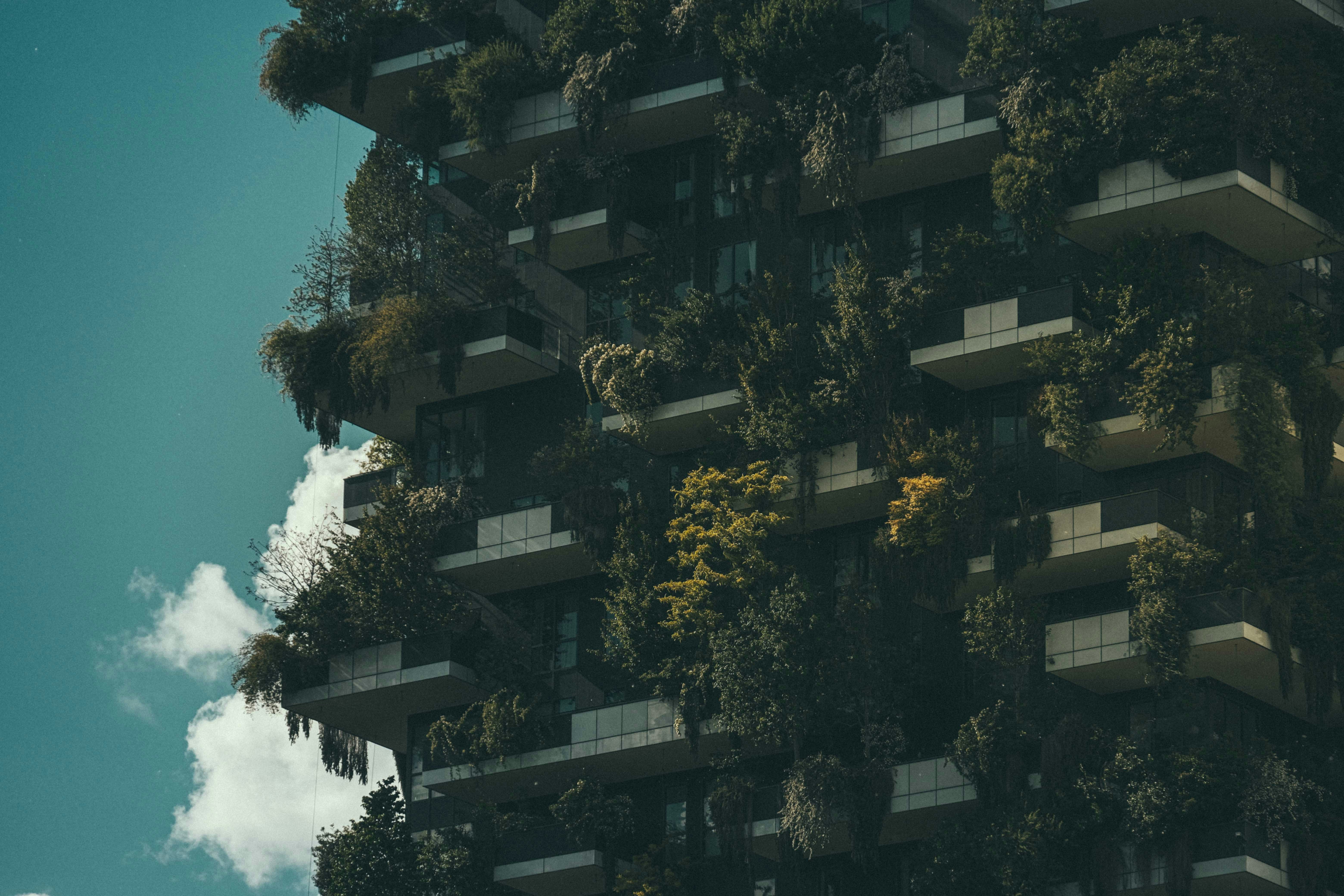 green trees near white concrete building during daytime