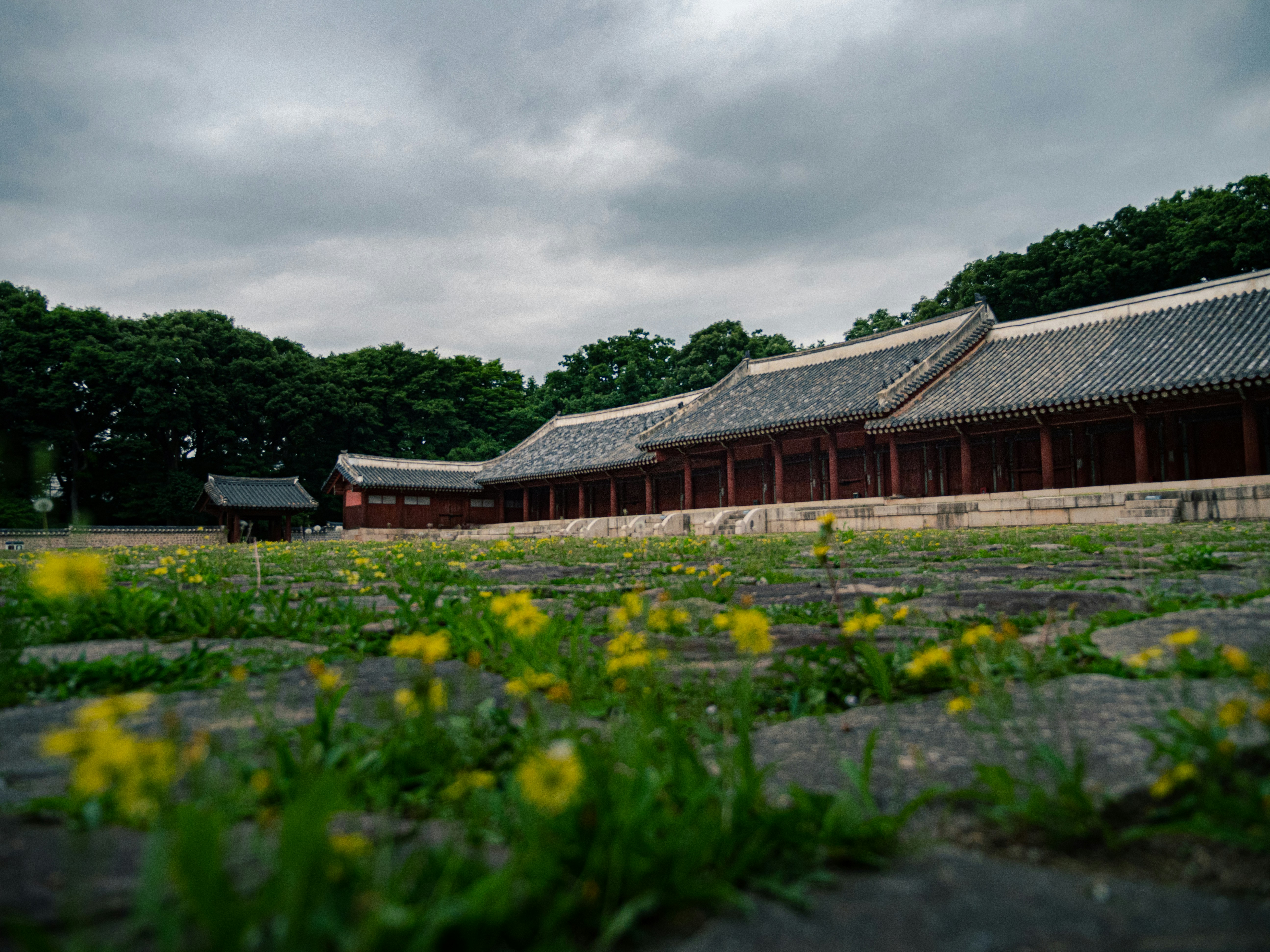 Traditional Korean architecture framed by lush greenery and wildflowers, under a moody sky. The scene evokes a sense of tranquility and reflection.
