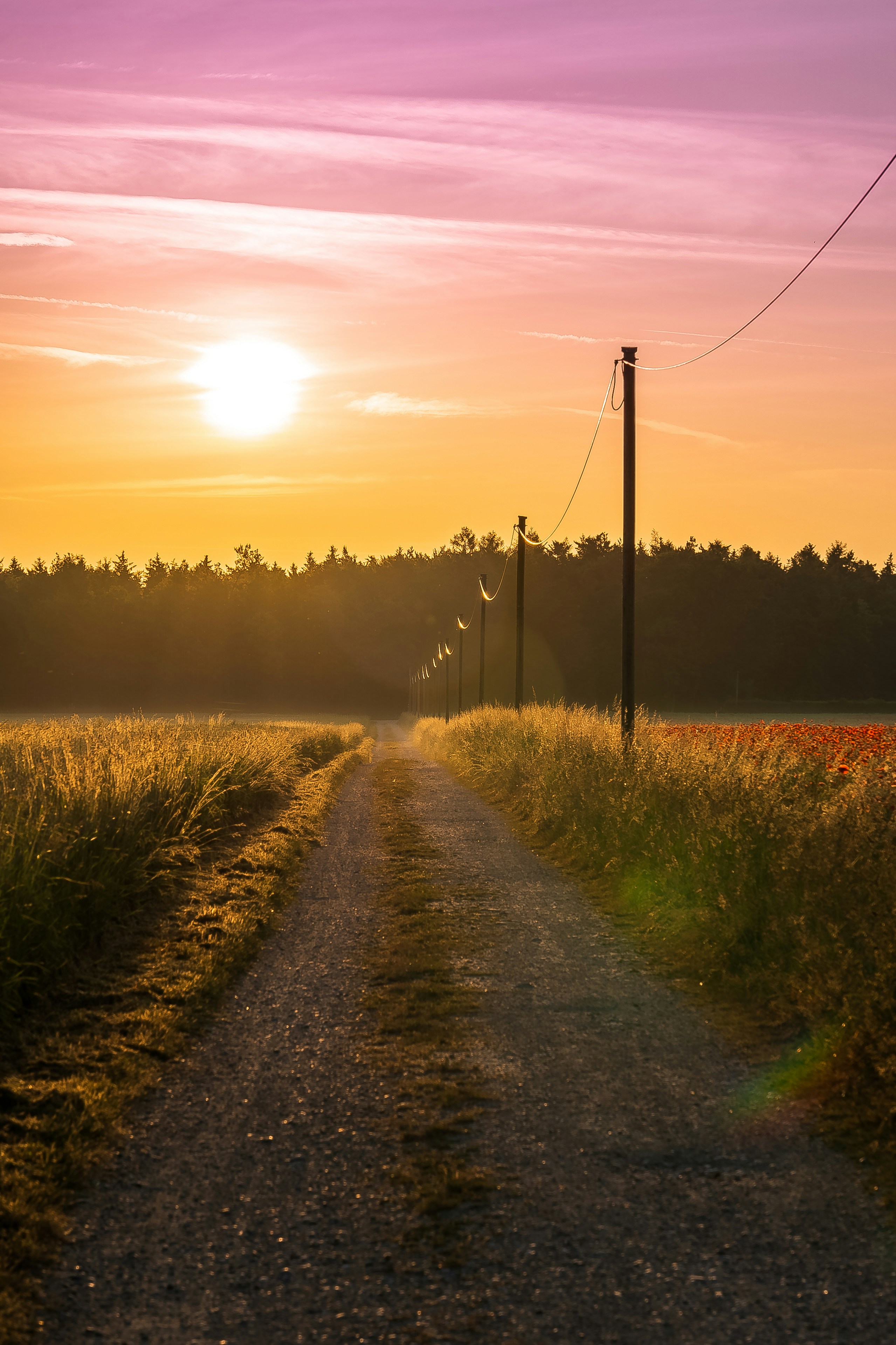 Country Dirt Road Sunset