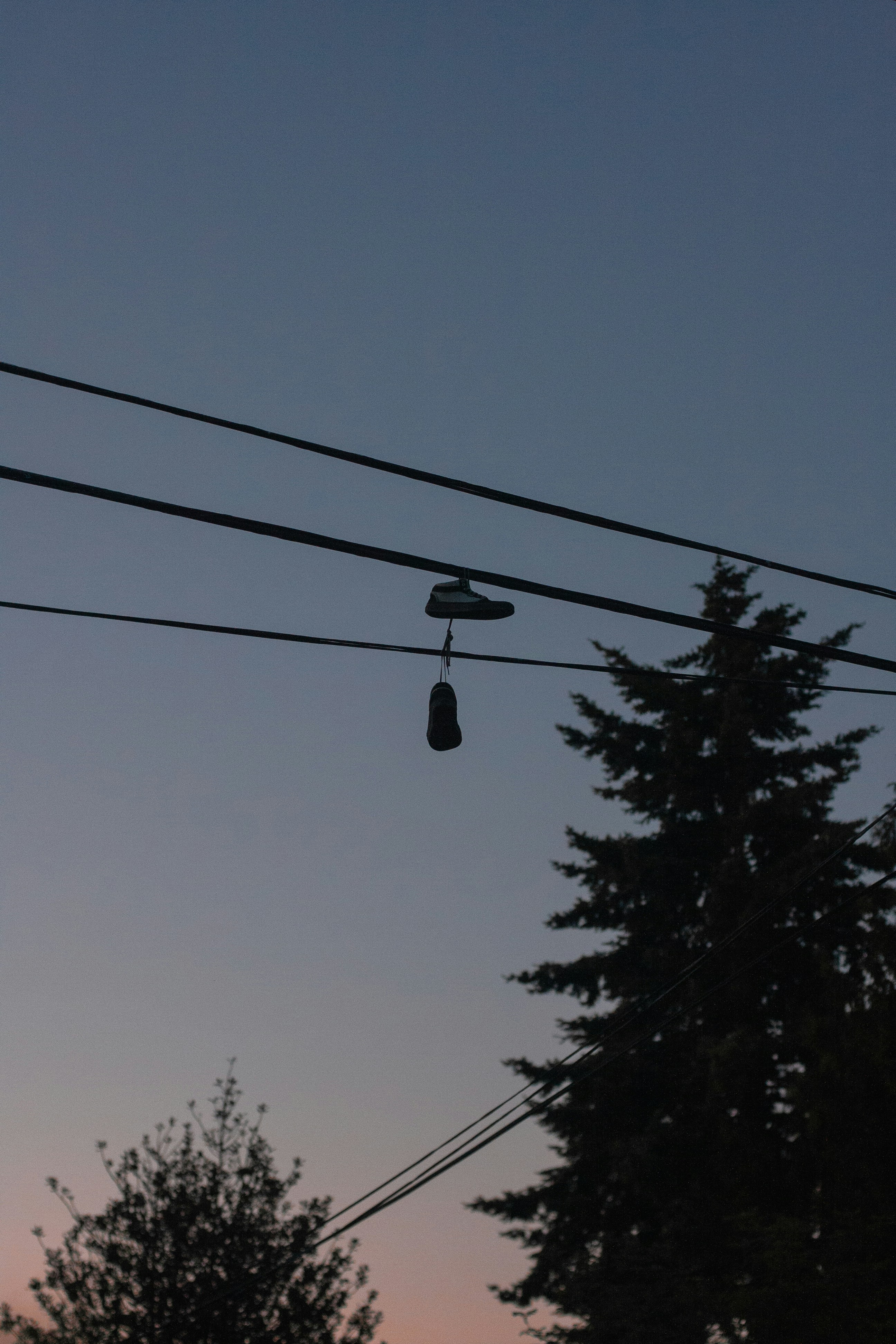a pair of shoes hanging from a power line