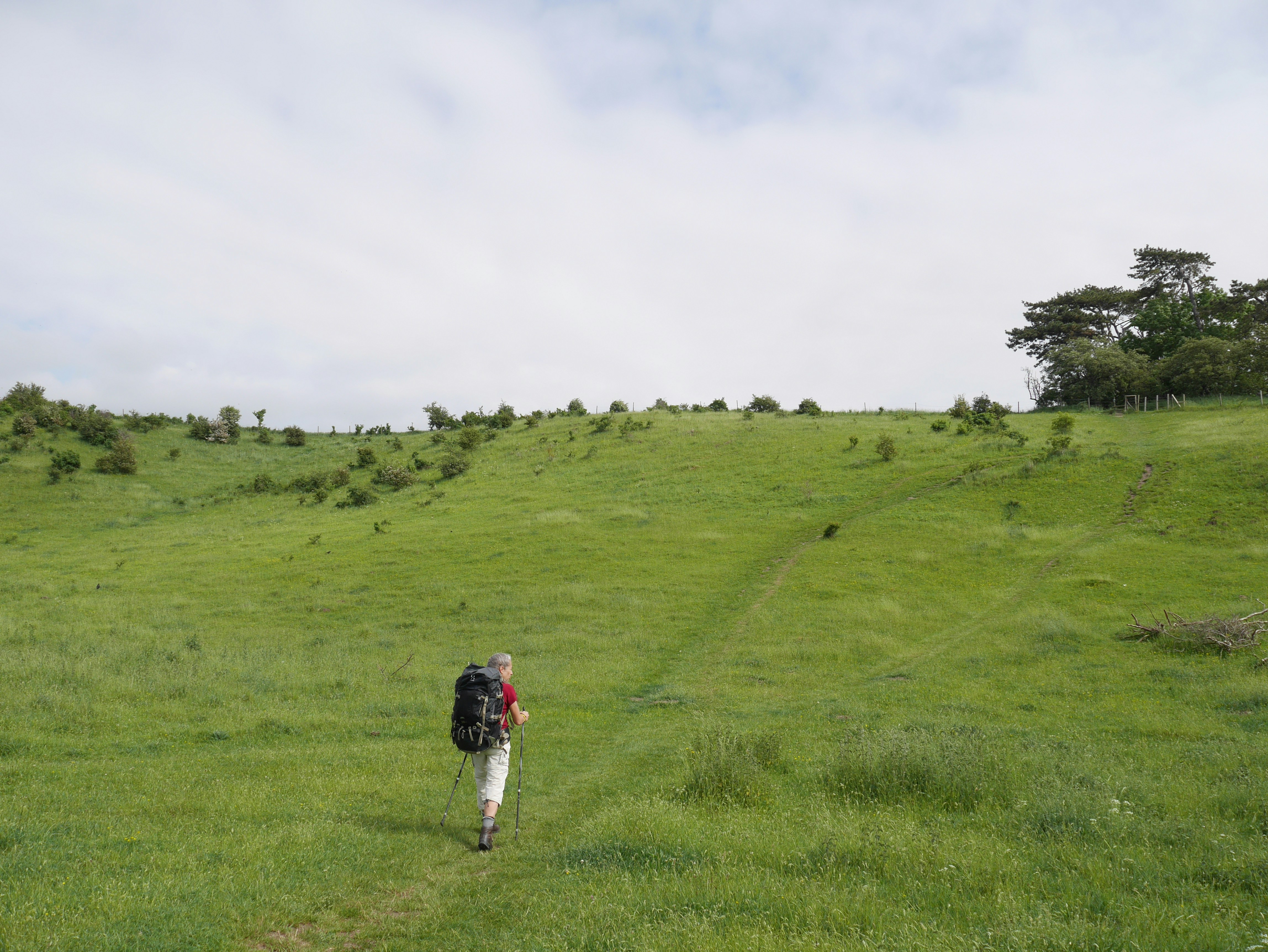 Red-Jacketed Hiker Ascending a Quiet Green Slope