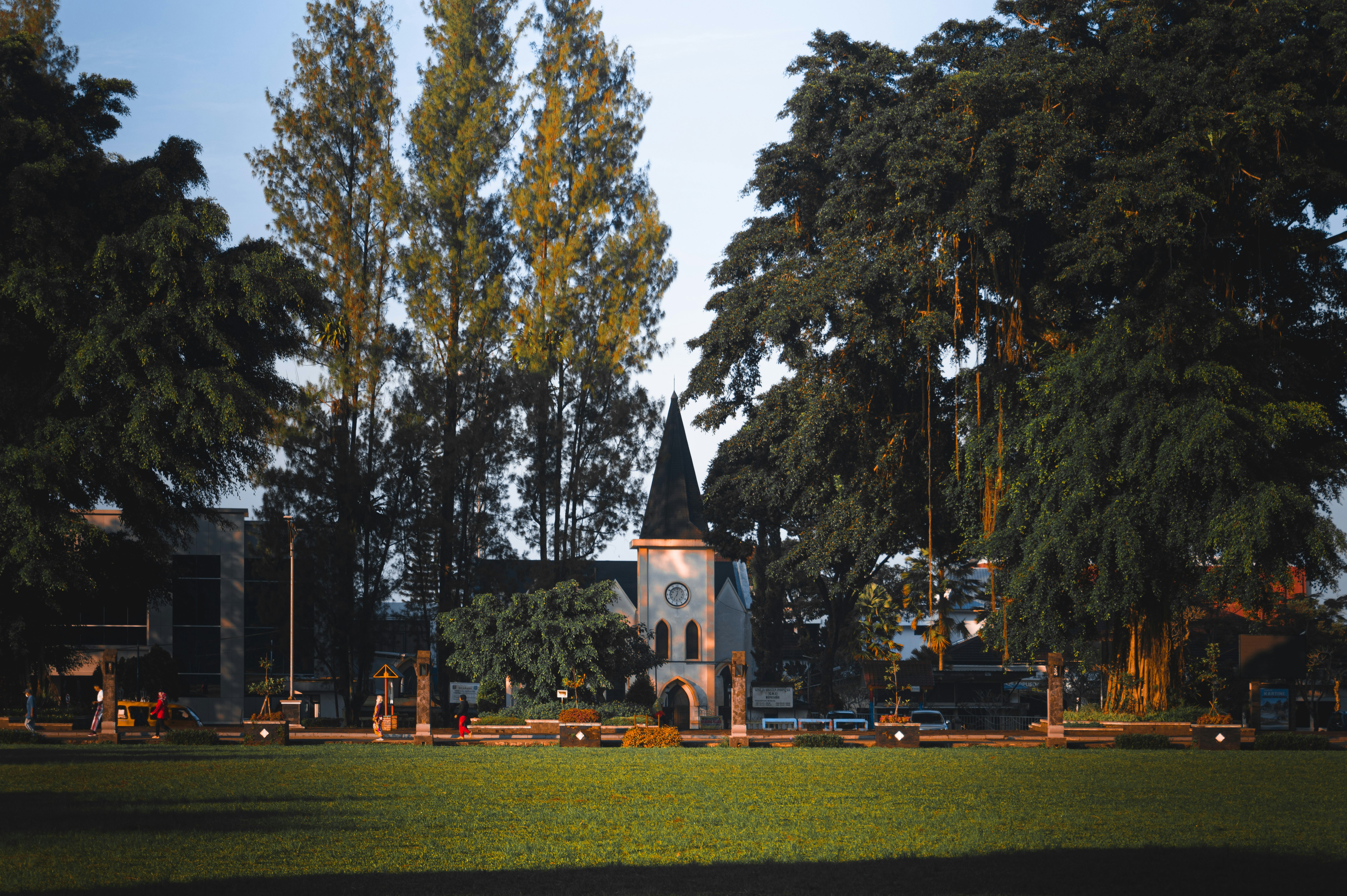 Sunlit Chapel in Riverside Park Framed by Tall Pines