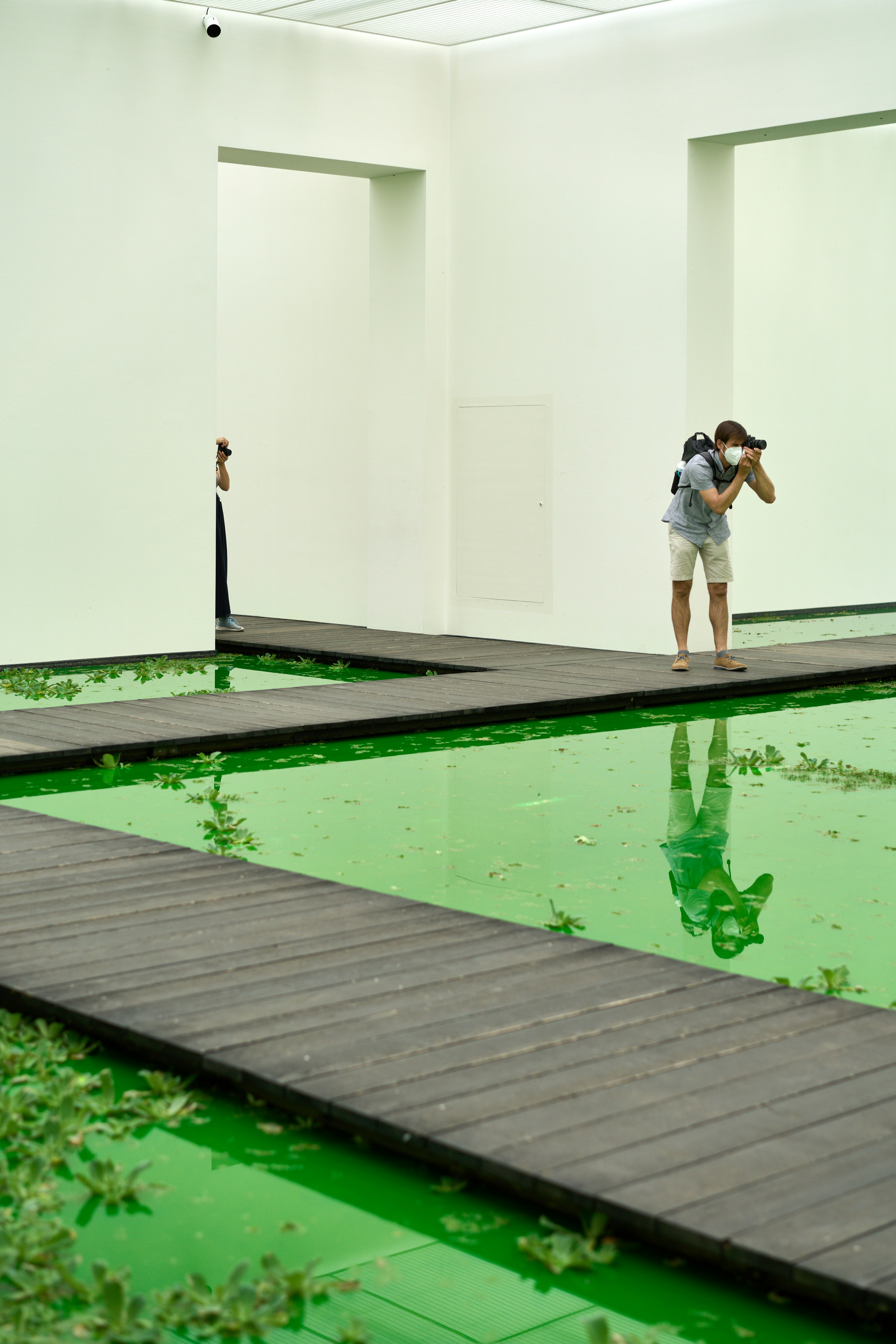 Reflections in a Green Oasis