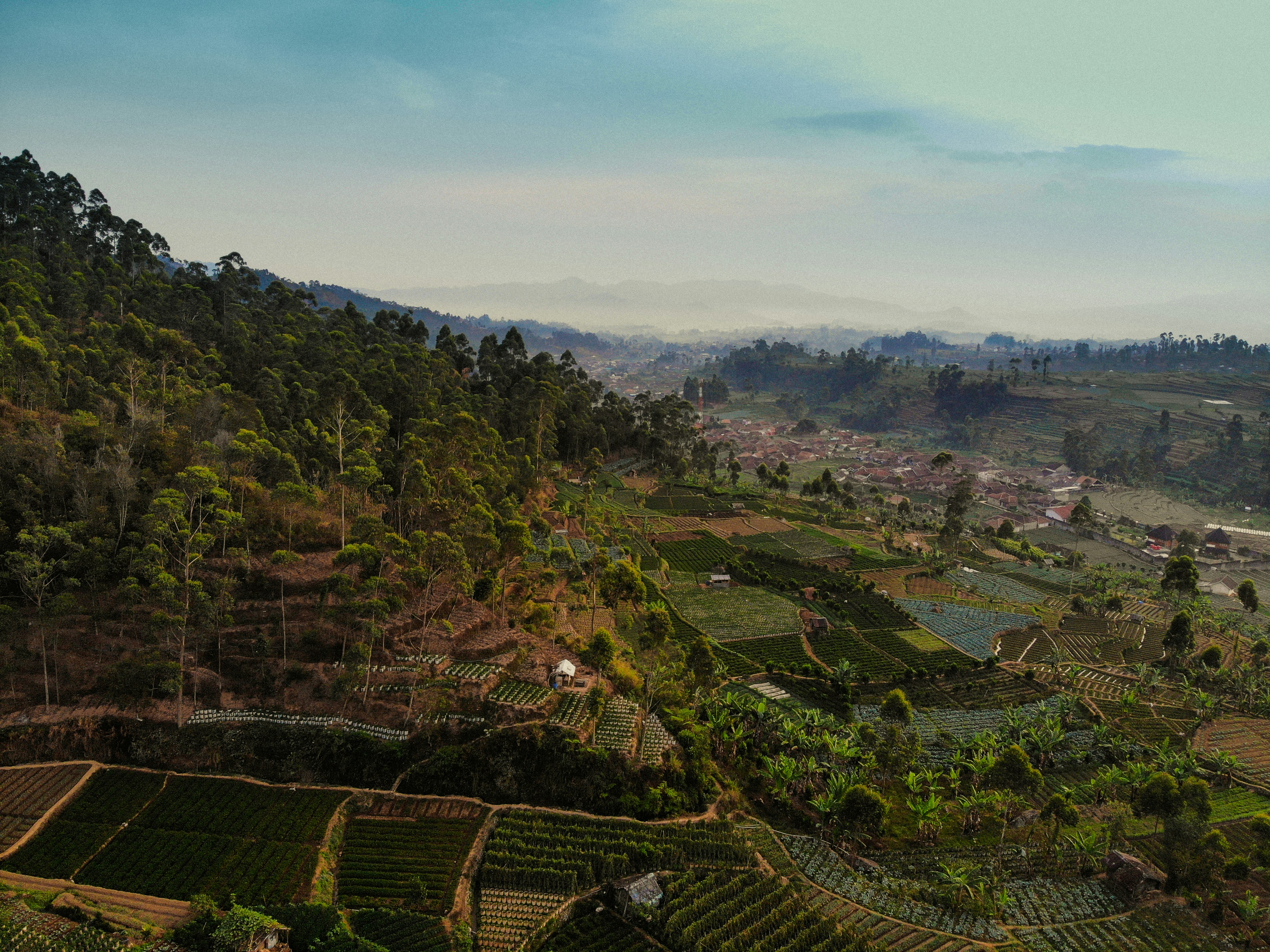 Lush rice terraces cascading through a hilly landscape in Lembang, Bandung, with distant mountains under a clear sky.