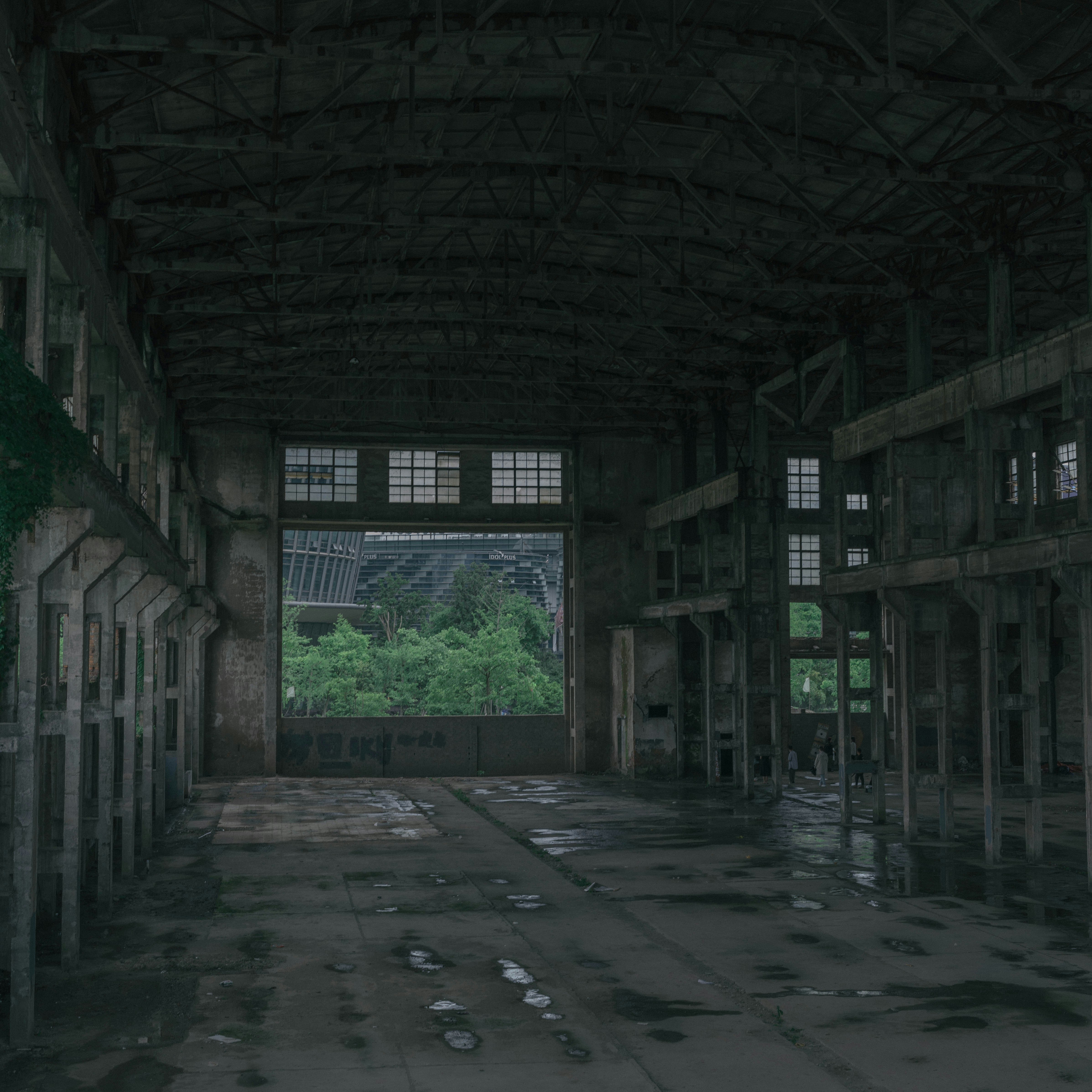 Doorway to Green Light: Light Breaks Through a Ruined Industrial Hall