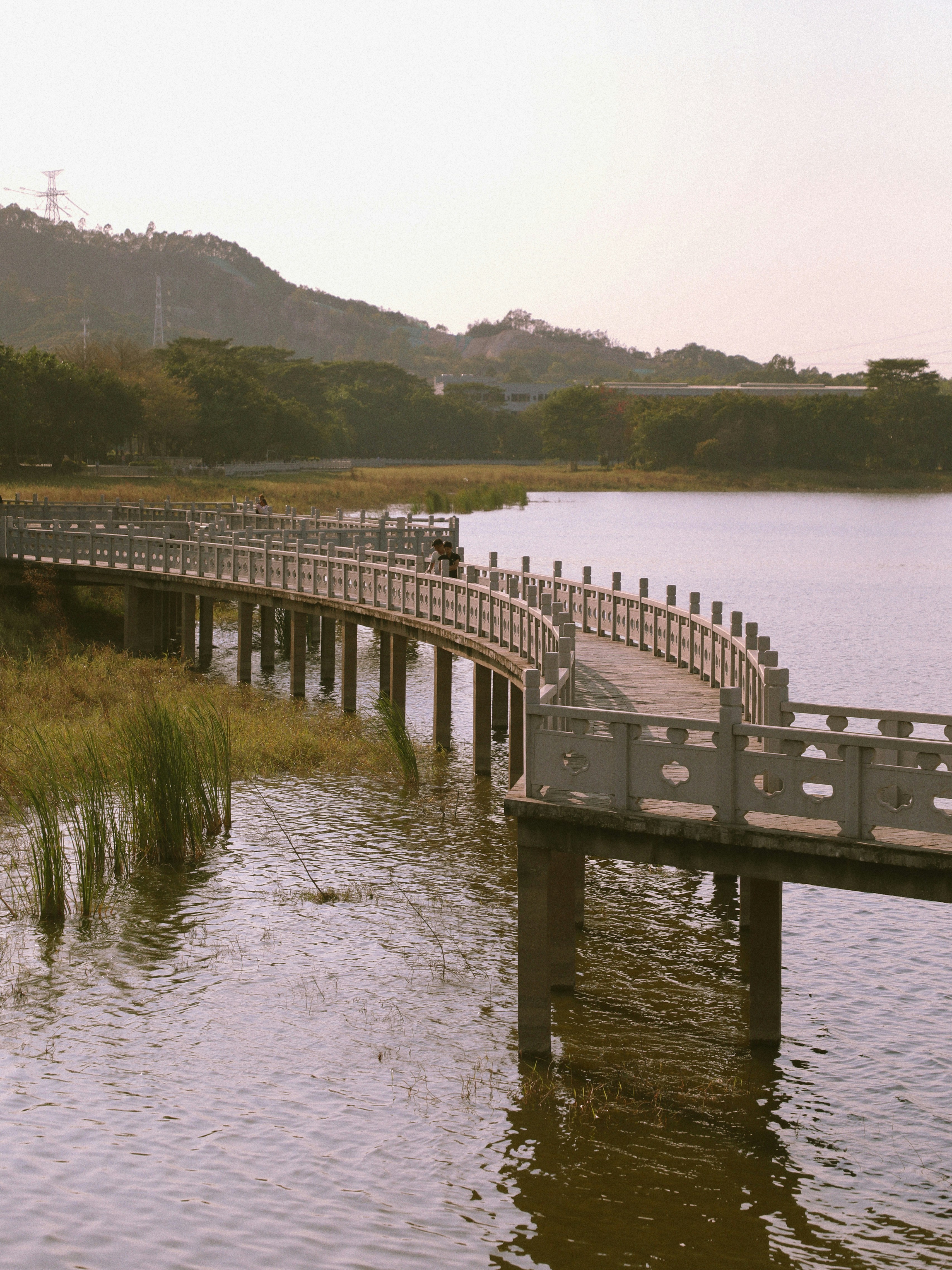 Curved wooden walkway leading over calm water, surrounded by lush greenery and distant hills.