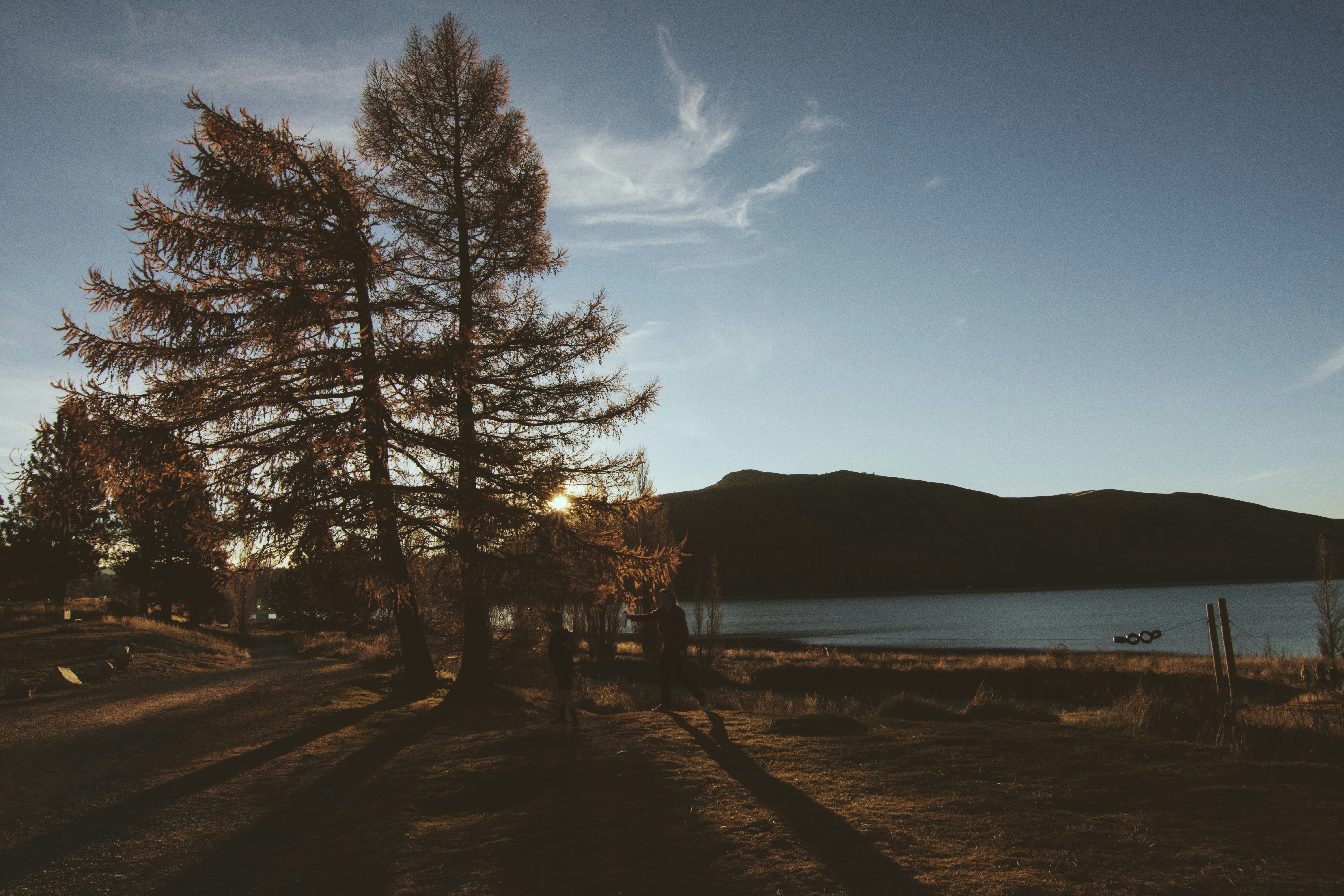 Green trees near body of water during daytime photo – Free Yha lake ...