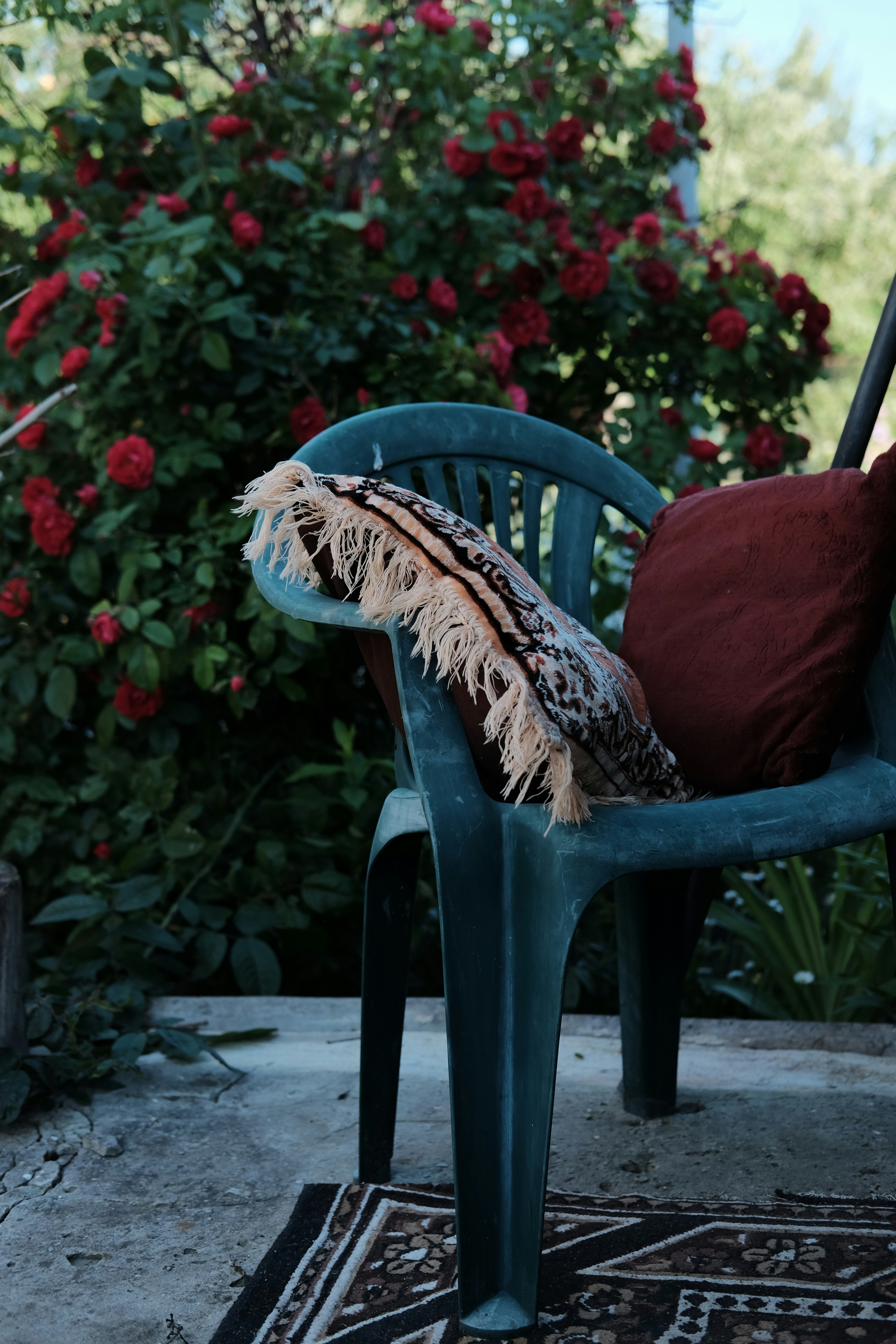 Cozy Garden Nook: Floral Backdrop and Woven Blanket on a Plastic Chair