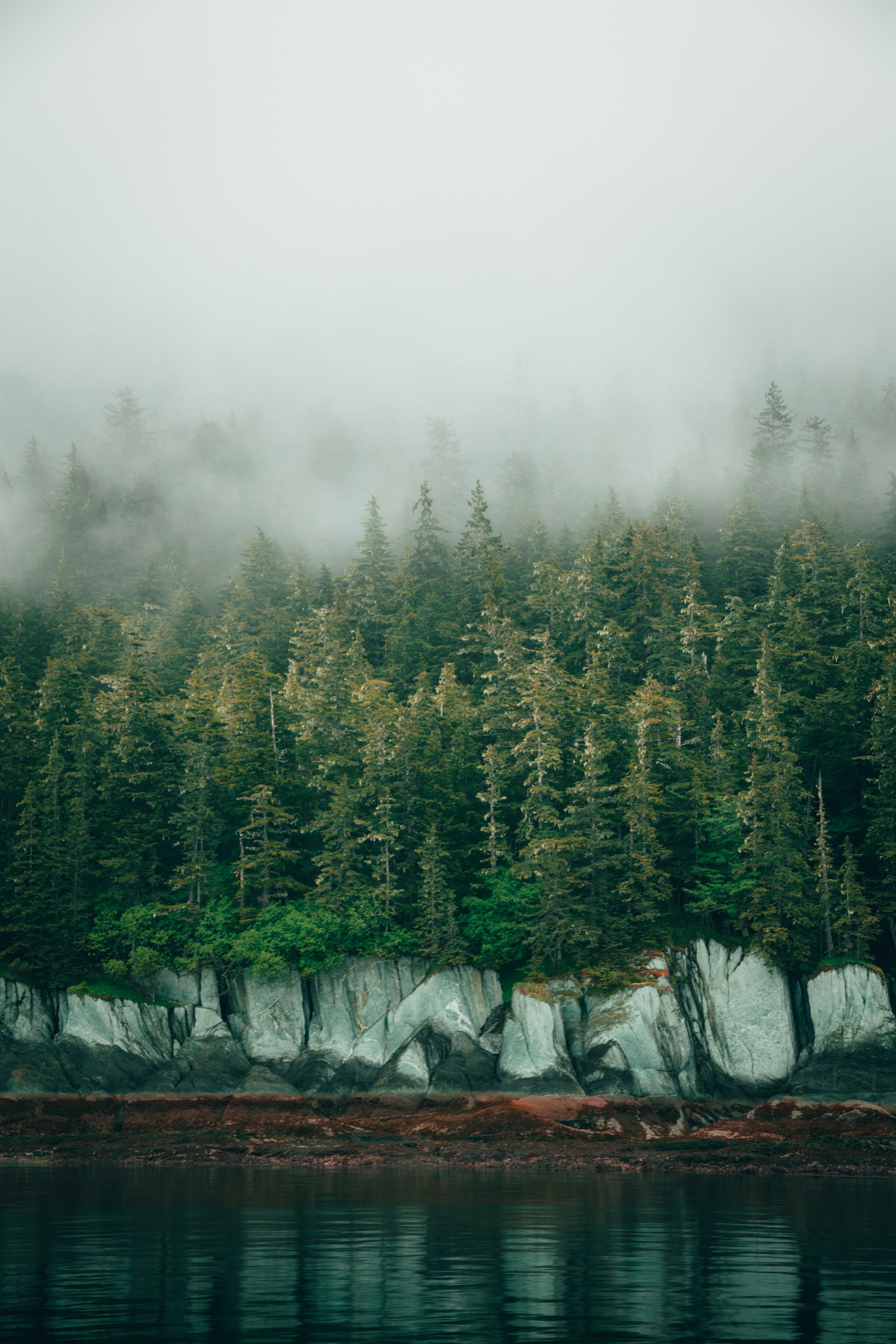 Mist-Shrouded Pines Guard a Granite Shoreline Over Quiet Coastal Waters