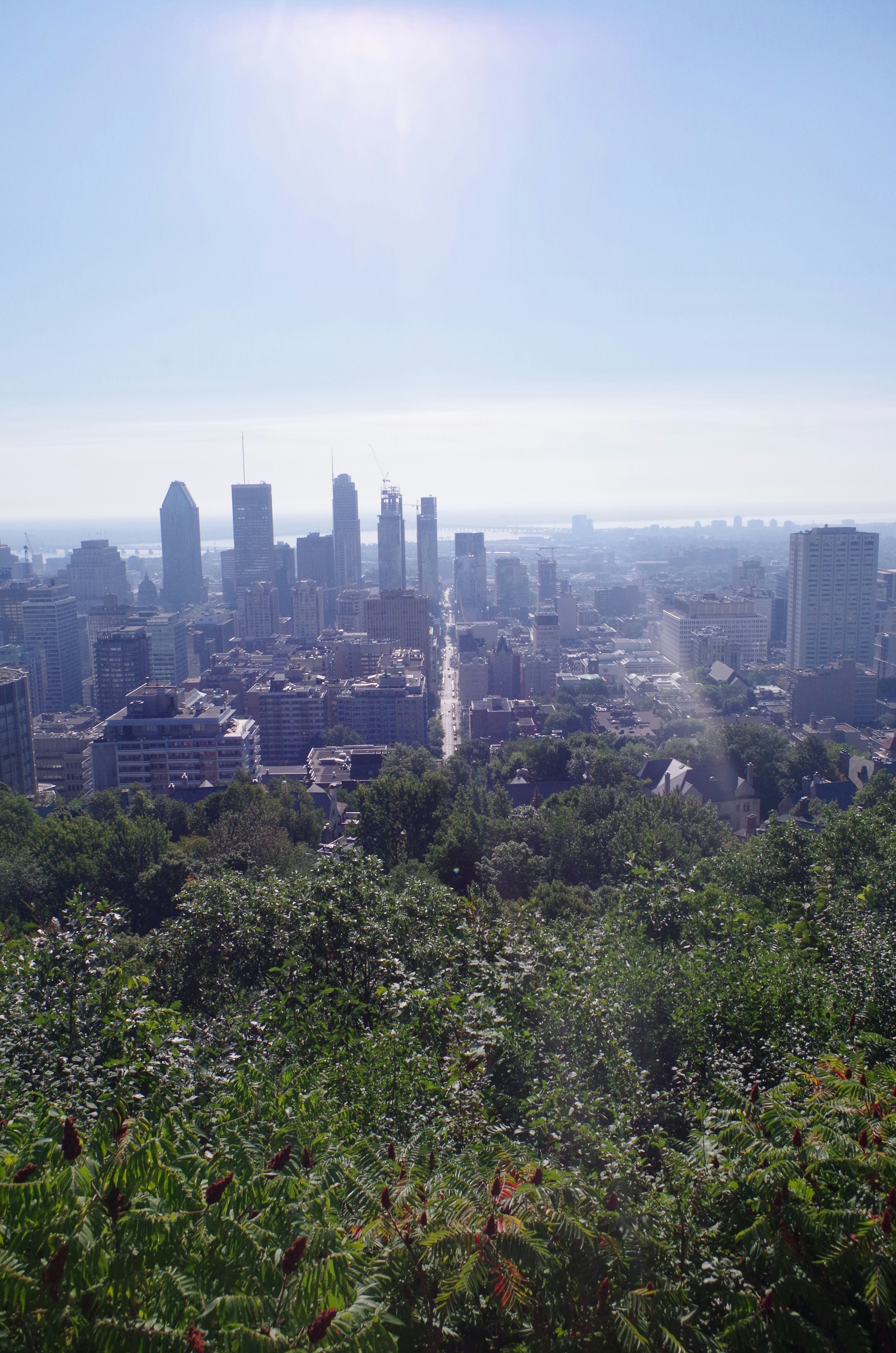 Vibrant cityscape of Montreal framed by lush greenery, showcasing the skyline under a clear blue sky. The scene captures the blend of nature and urban life.