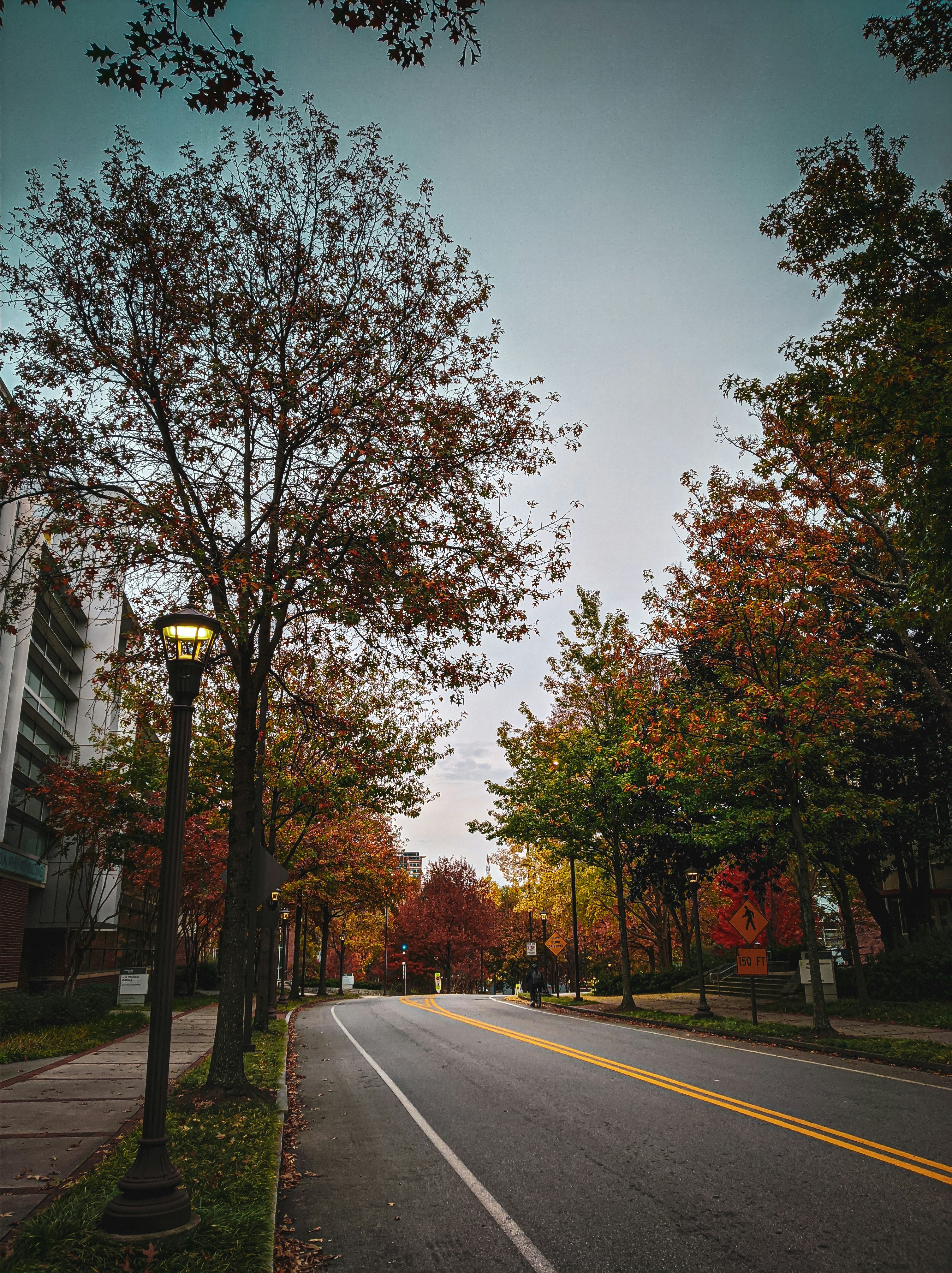 Gray asphalt road between trees during daytime photo – Free United ...