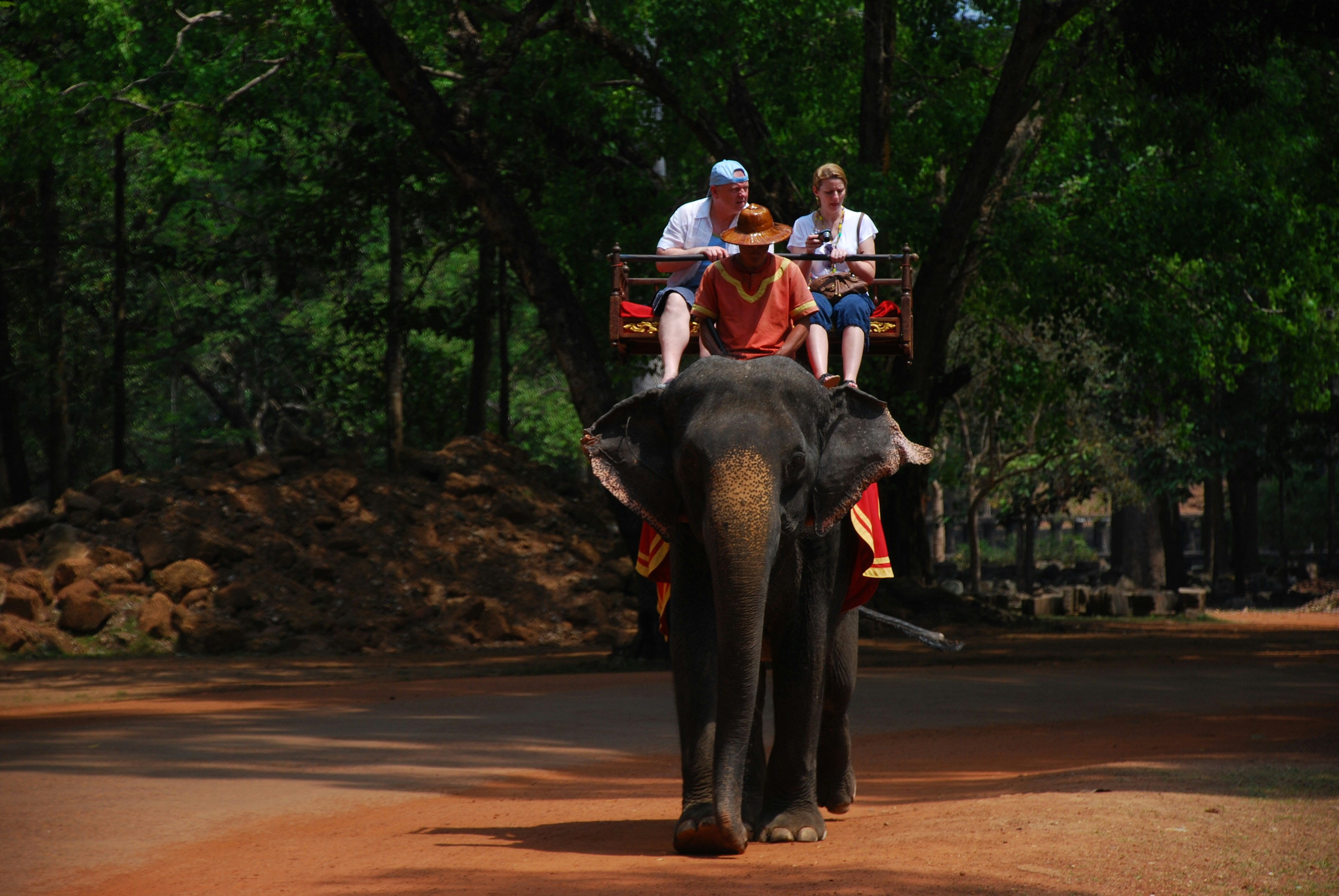Elephant carrying two passengers along a dirt path in a lush green environment. The scene captures the bond between humans and wildlife.