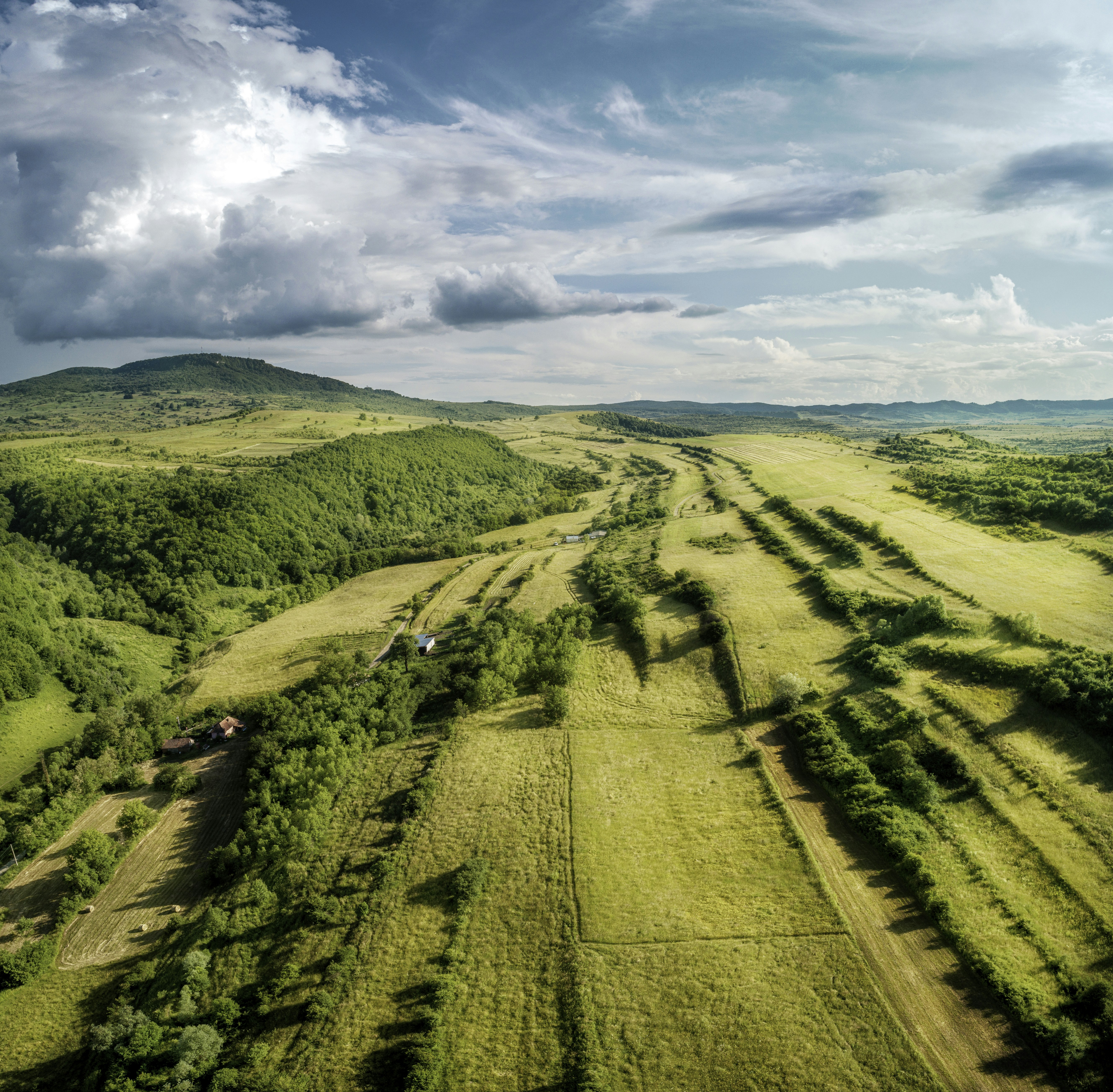 Rolling Hills and Terraced Fields from a Drone’s View