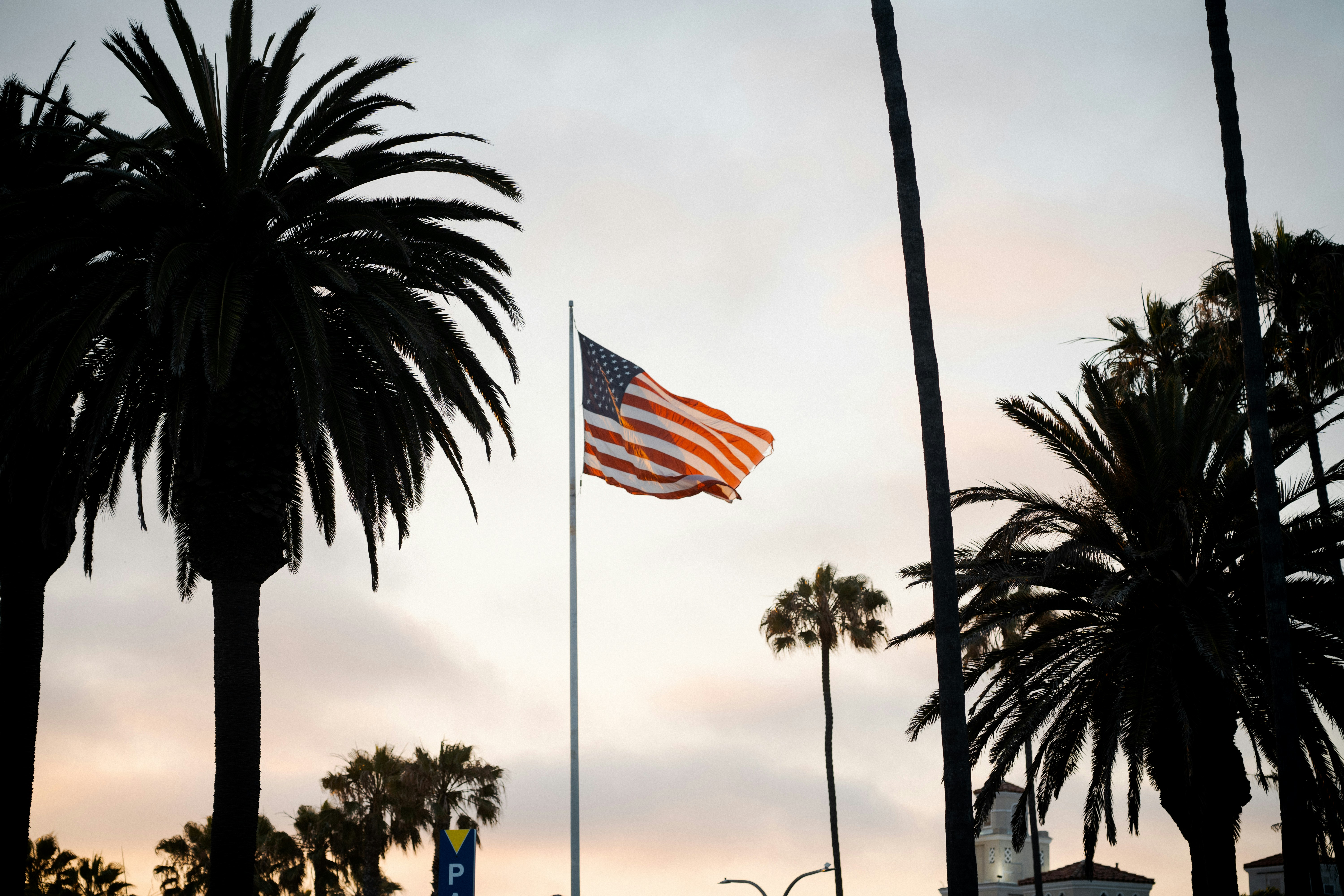 Flag Between Palms at Twilight