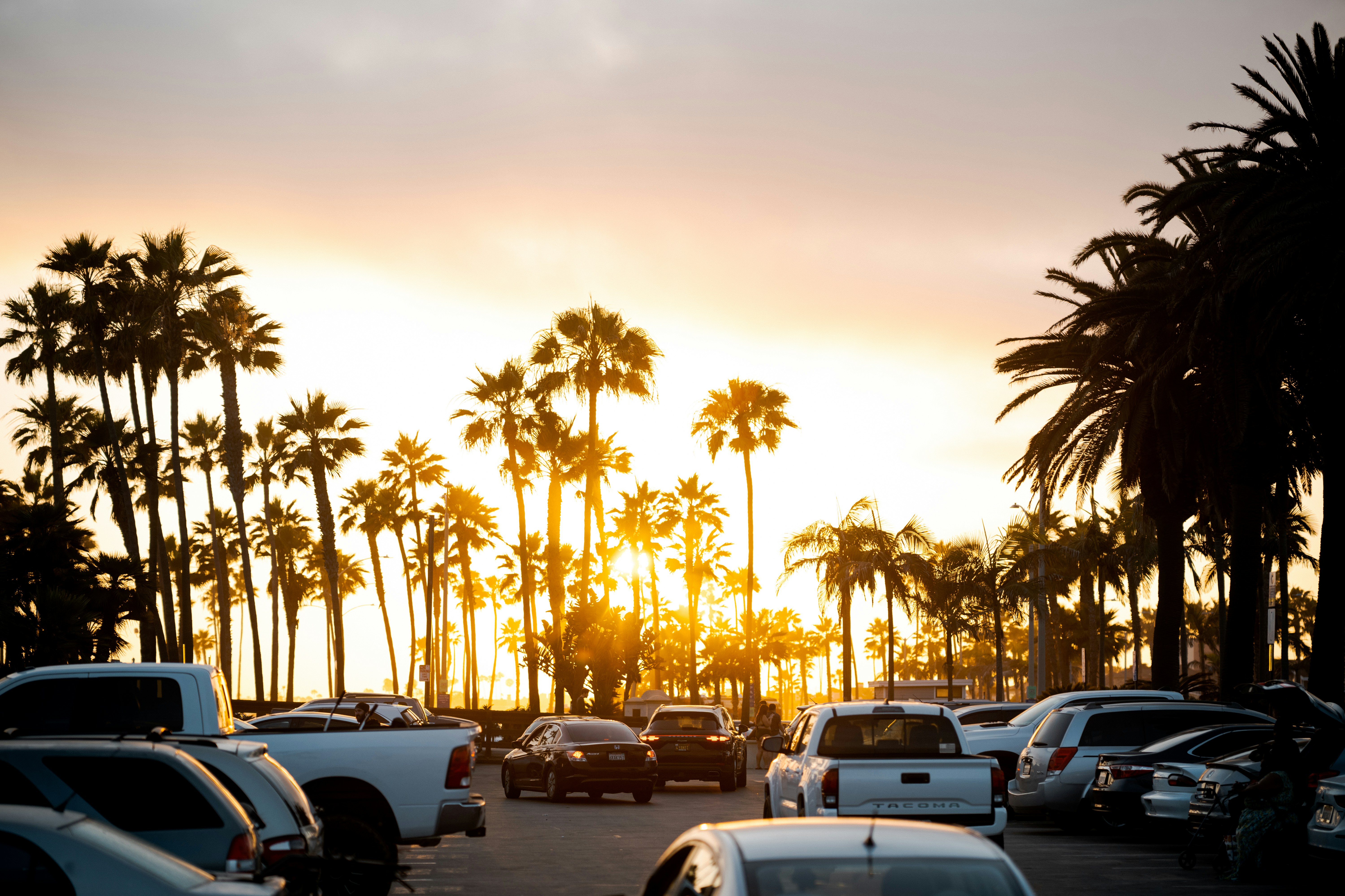 Silhouetted palm trees against a vibrant sunset, with parked cars creating an urban backdrop. The scene captures the tranquil beauty of dusk.