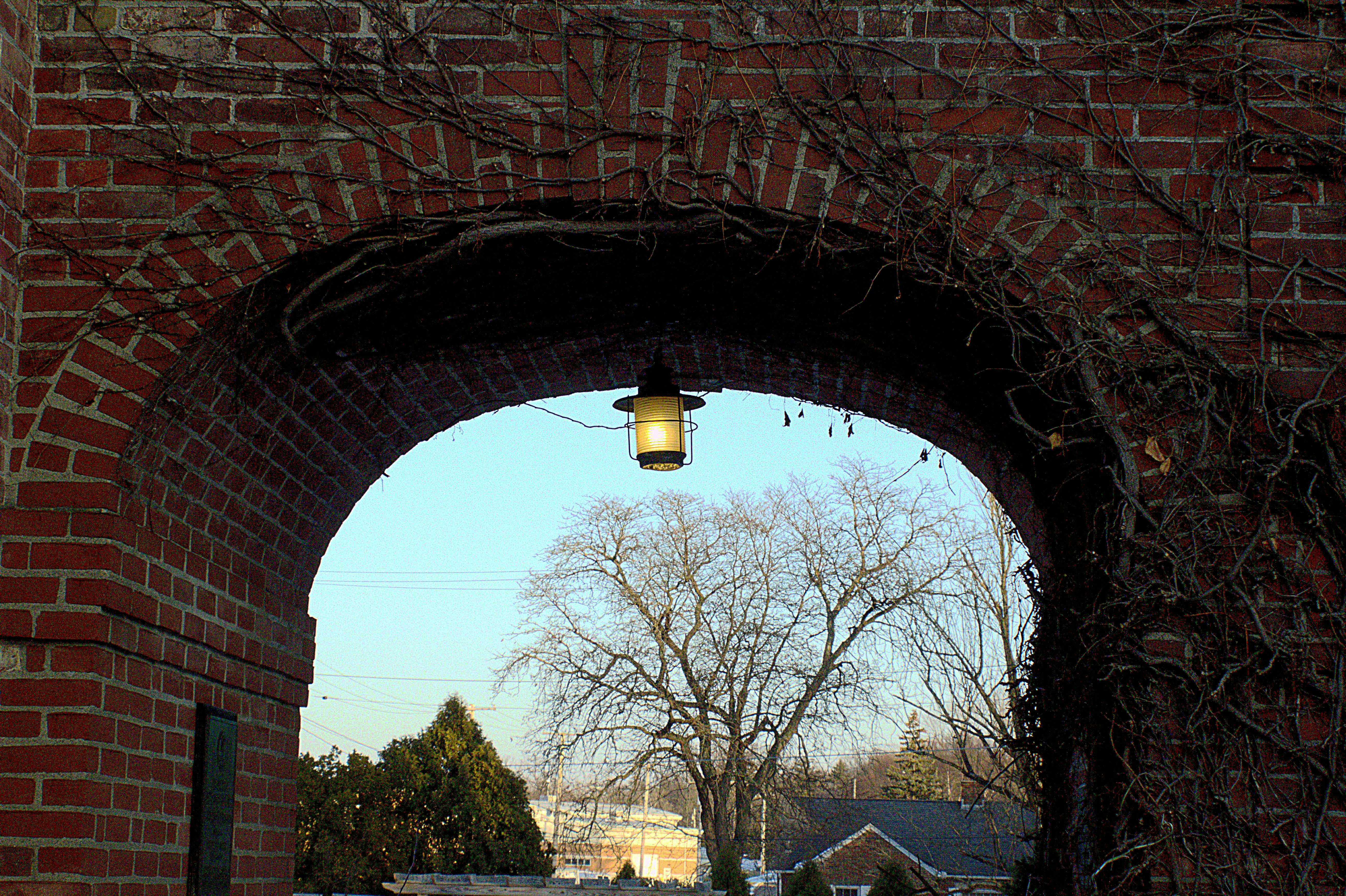A view through a brick archway adorned with creeping vines, revealing a serene landscape with bare trees and distant structures.