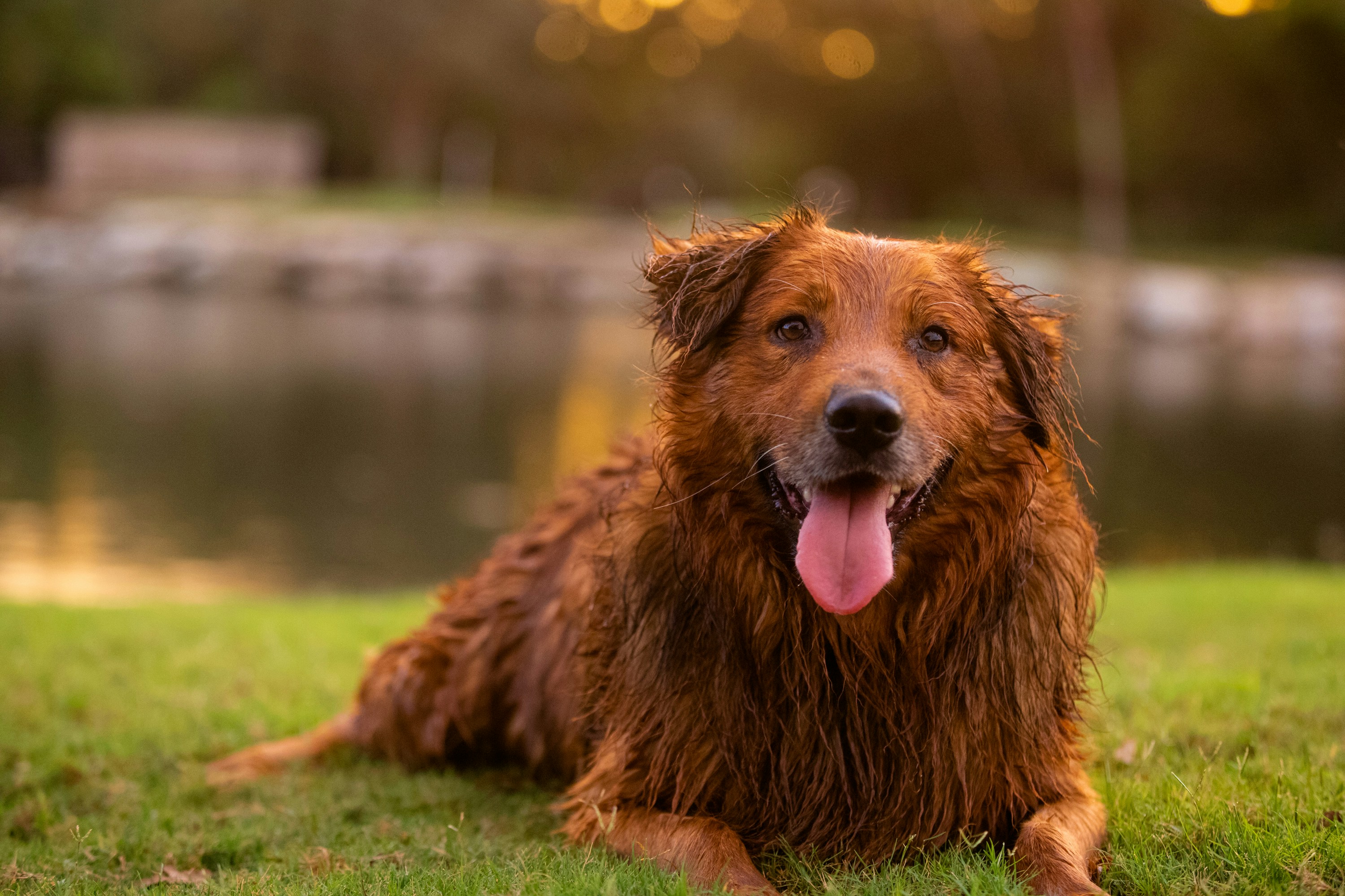 Mildred Goros (@mildredgoros) | Komunitas Foto Unsplash