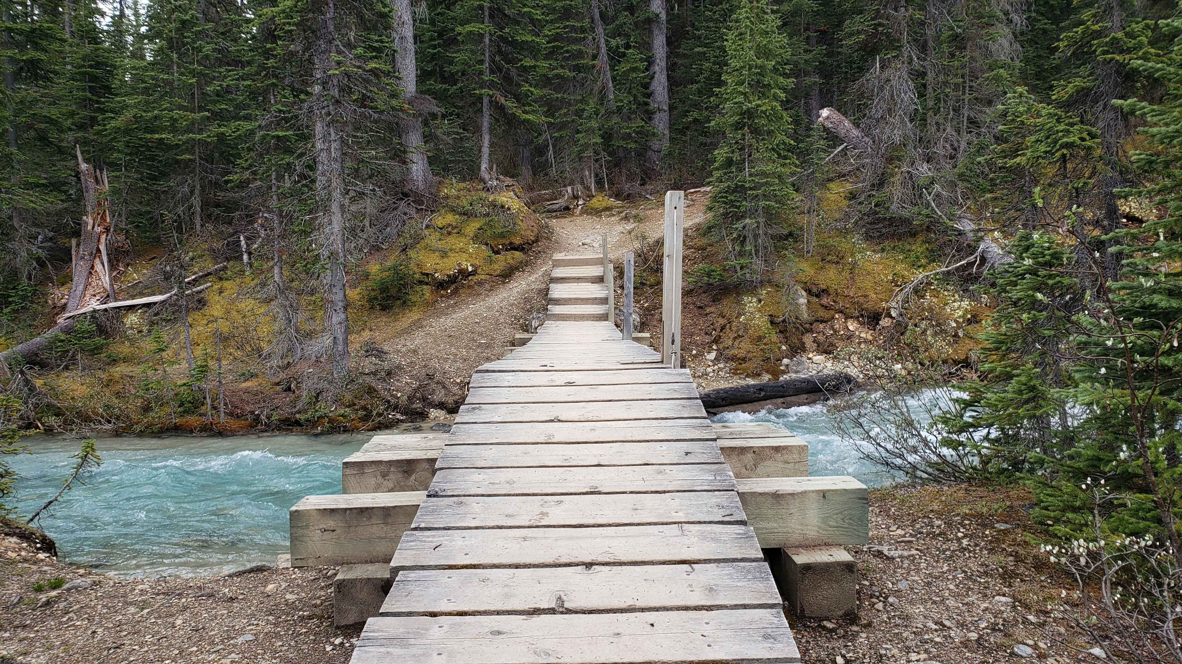 Laughing Falls Bridge, Yoho National Park, British Columbia, Canada