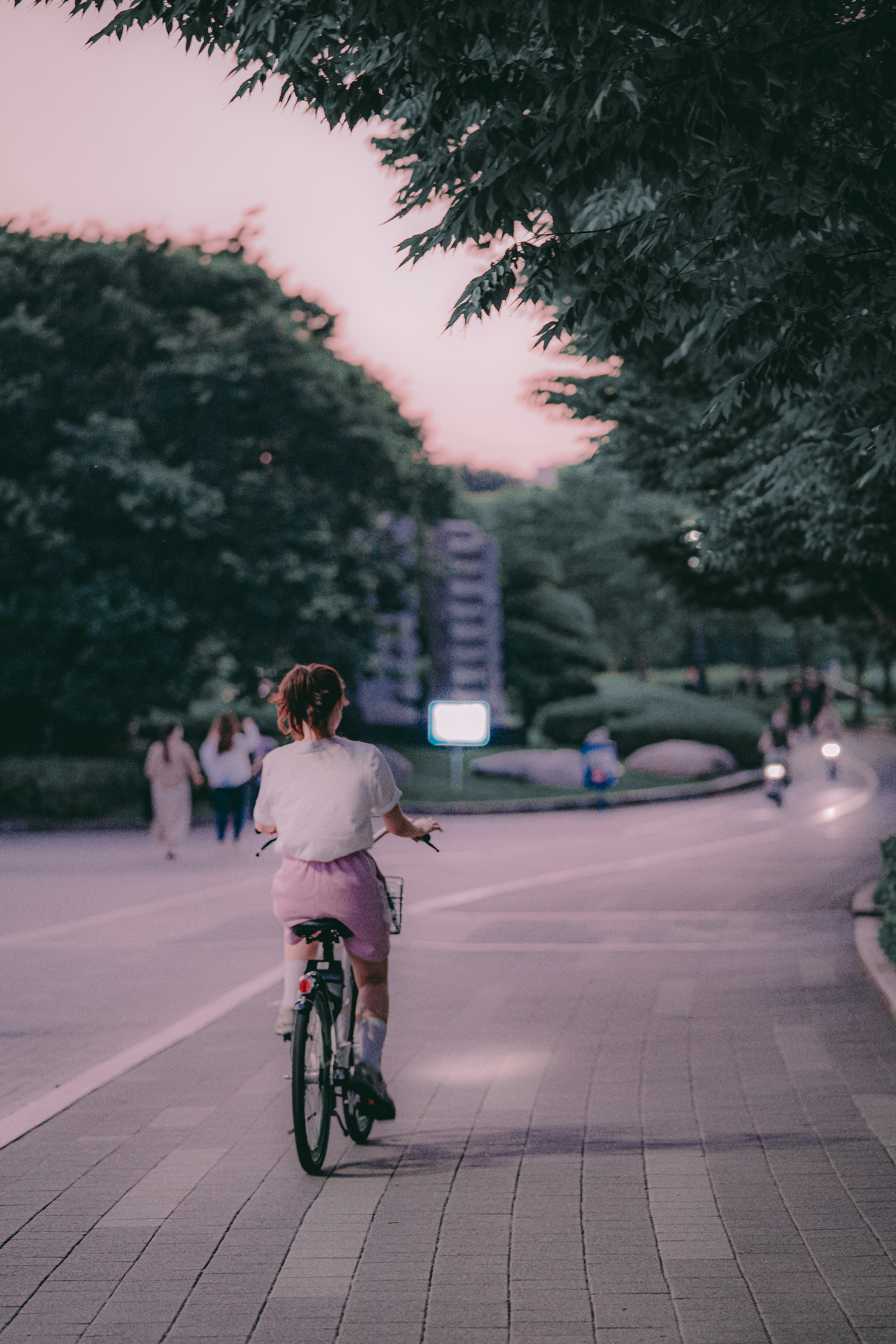 A cyclist navigates a tranquil path lined with trees as dusk settles, with soft hues illuminating the scene.