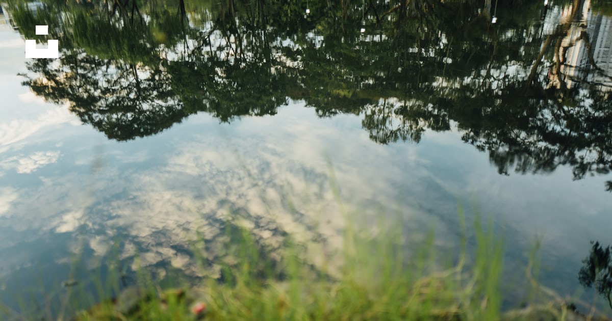Green Grass Near Body Of Water During Daytime Photo Free Water Image