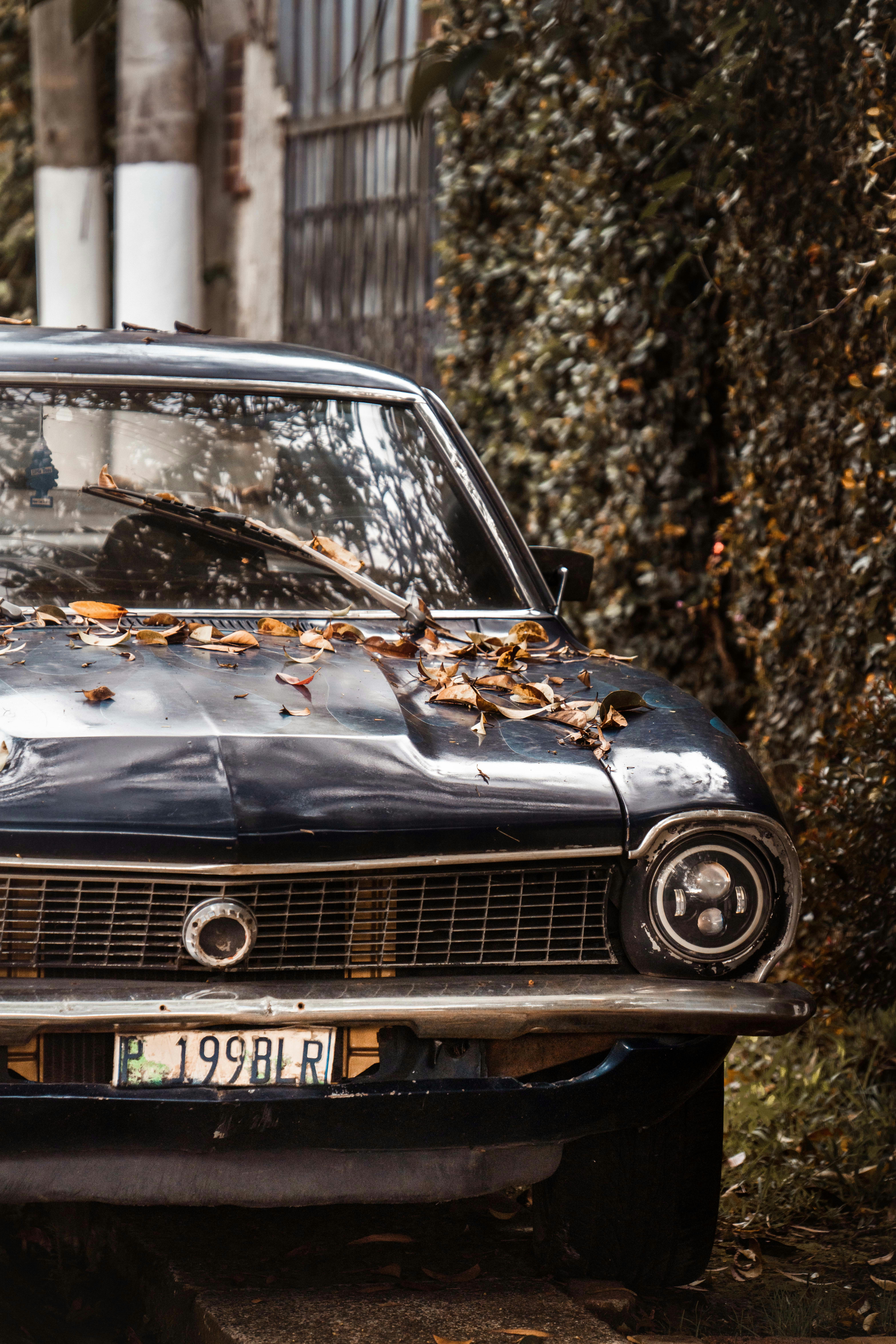 Blue car parked beside tree photo – Free Vehicle Image on Unsplash