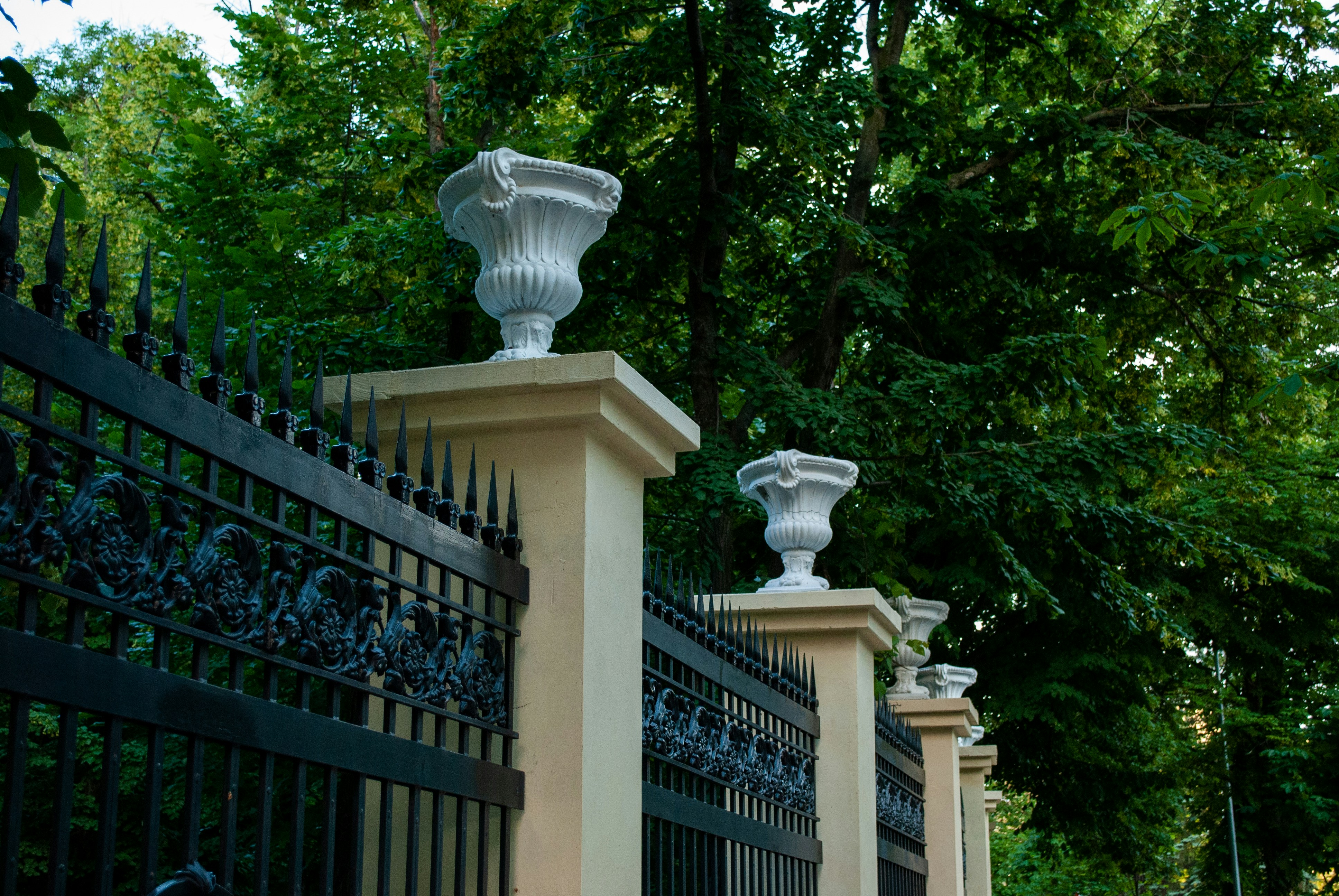 black metal gate near green trees during daytime