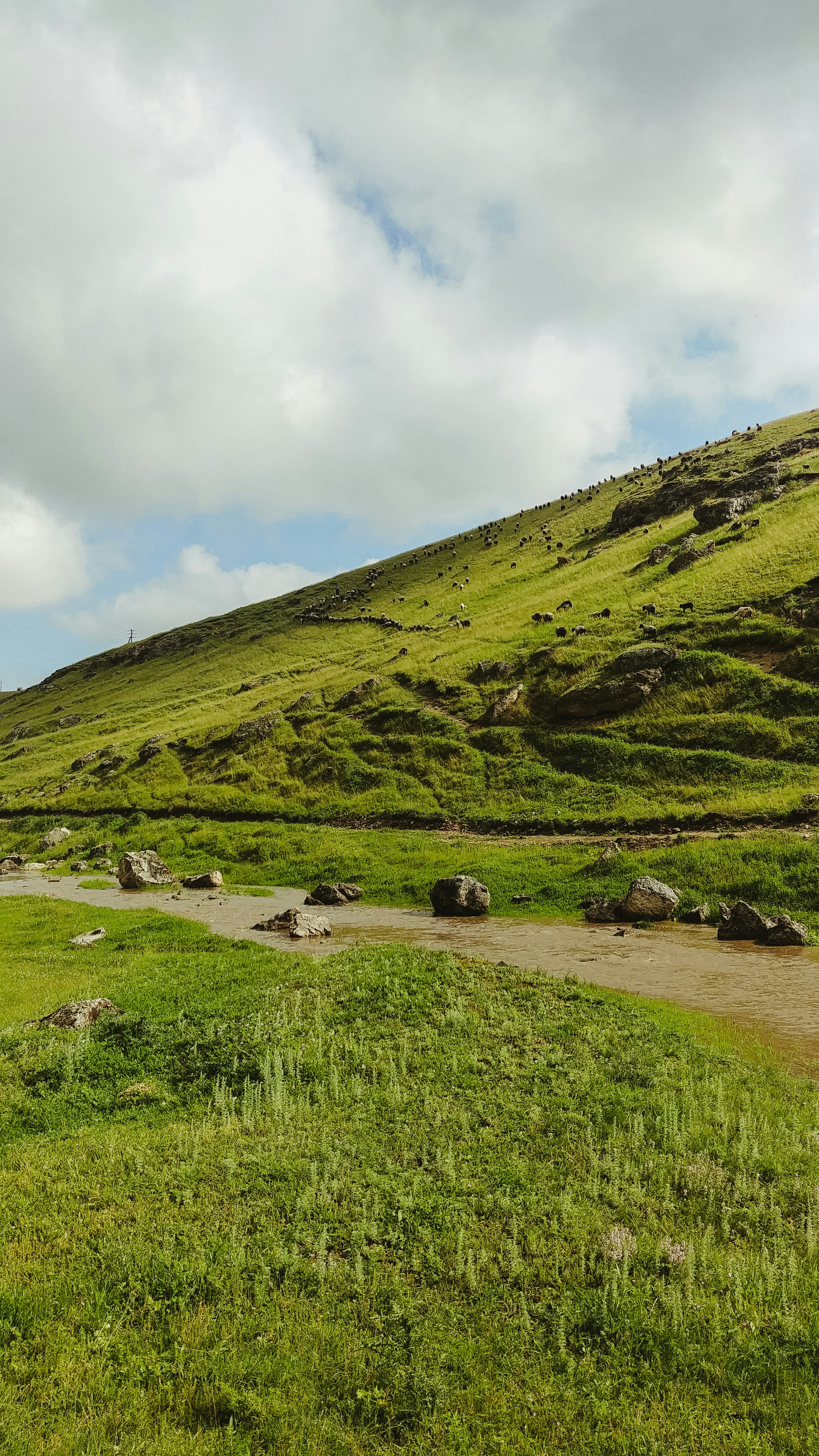 Photo by Iancu Voinovan with LG G6 H870