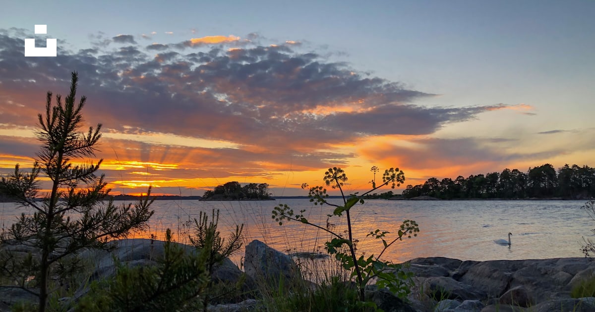 Green Grass Near Body Of Water During Sunset Photo Free Vaxholm Image