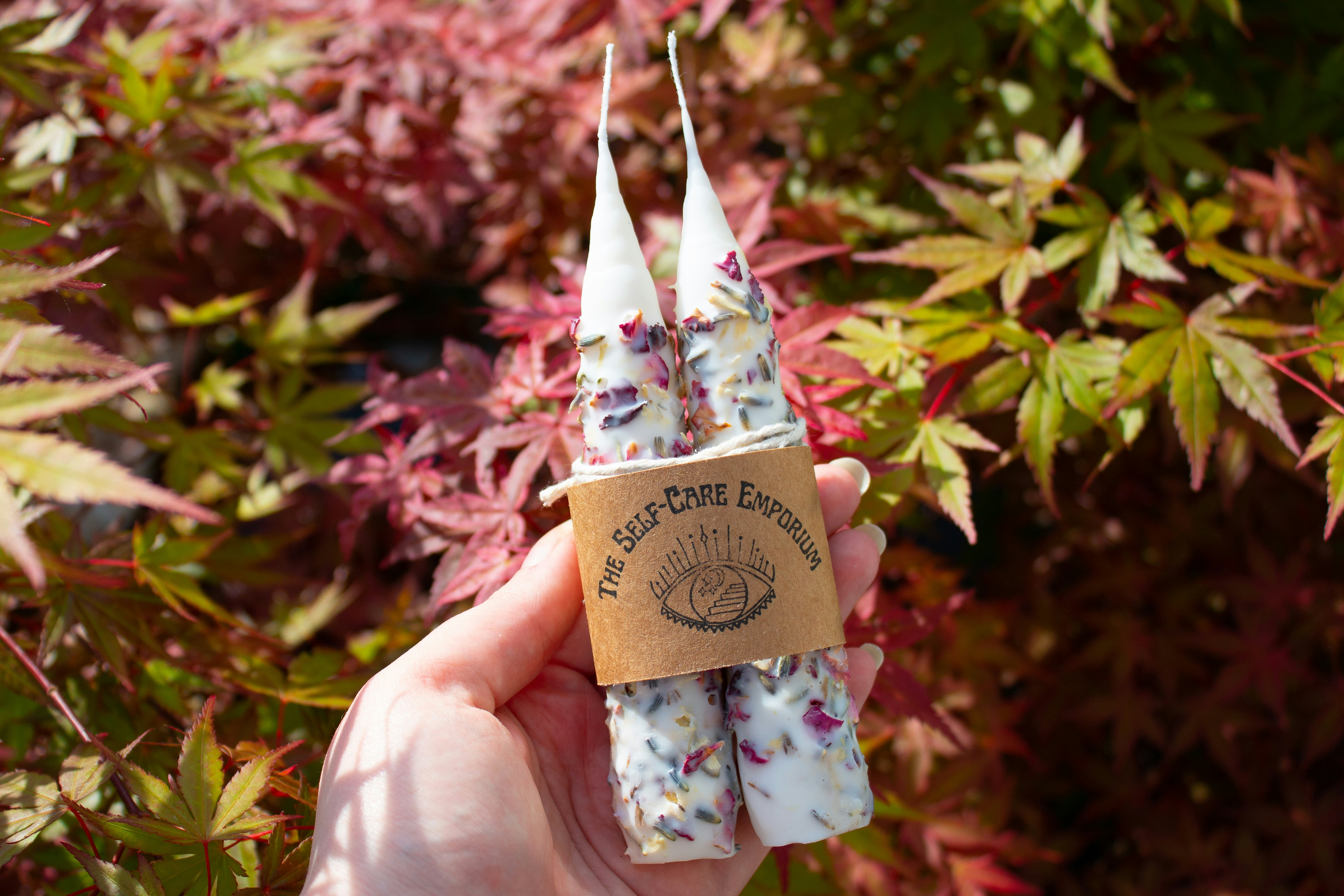 Cat Crawford (@catcrawfordet) | Unsplashフォトコミュニティ