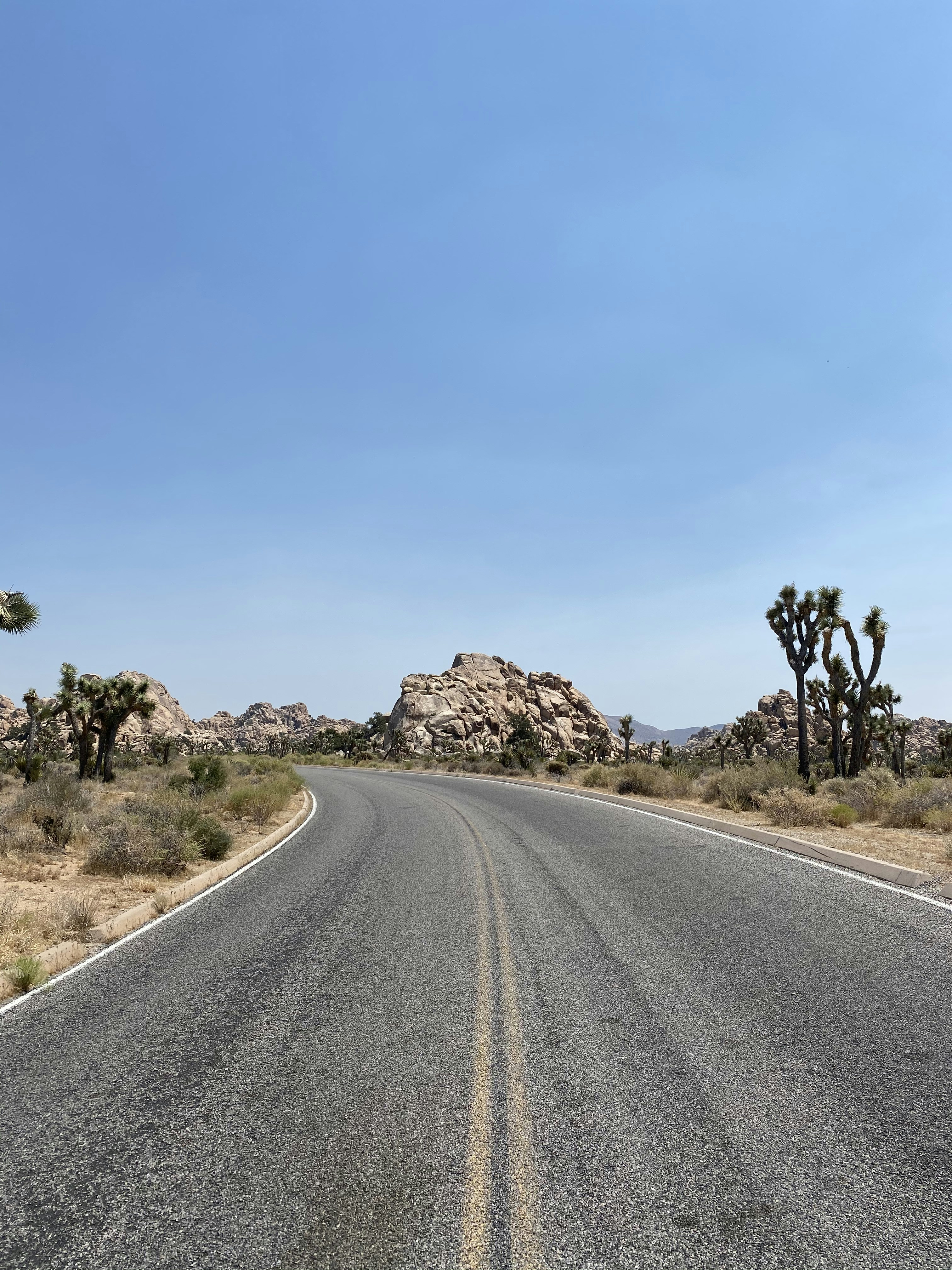 Curving road surrounded by unique rock formations and Joshua trees under a clear blue sky.