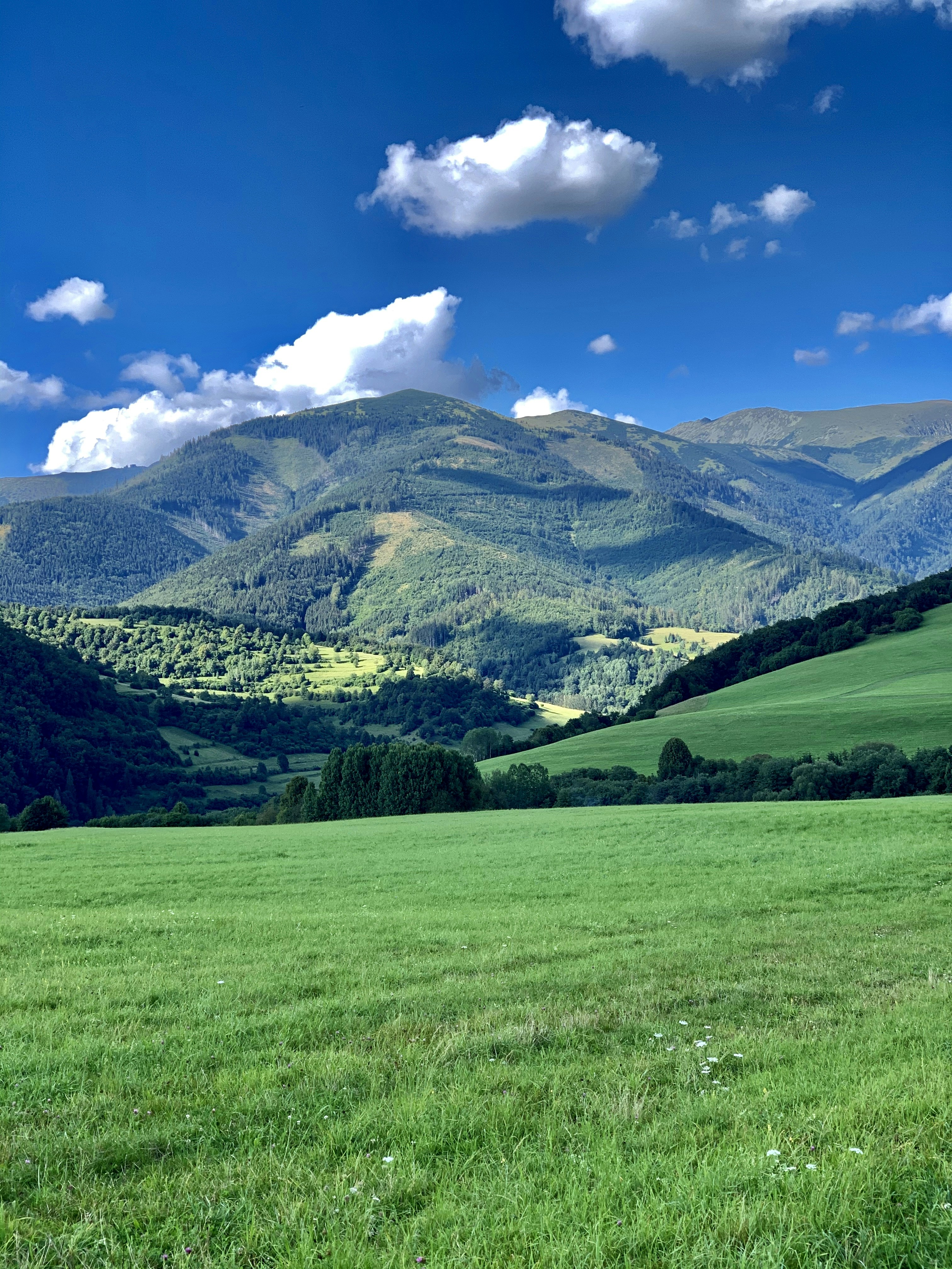 Lush green meadow stretches towards majestic mountains under a vivid blue sky adorned with fluffy clouds.