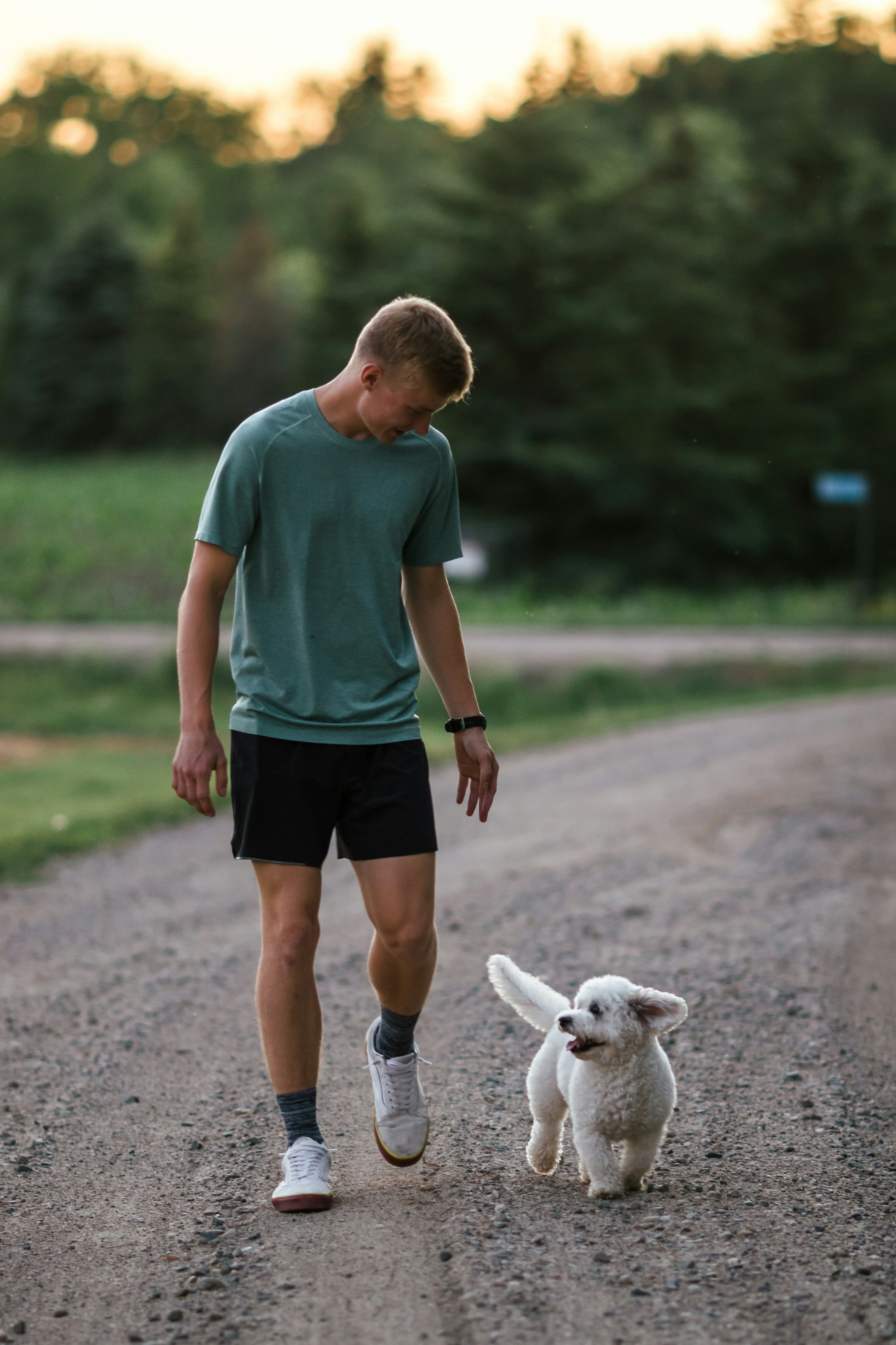 A Quiet Path: Runner and Puppy in Soft Evening Light