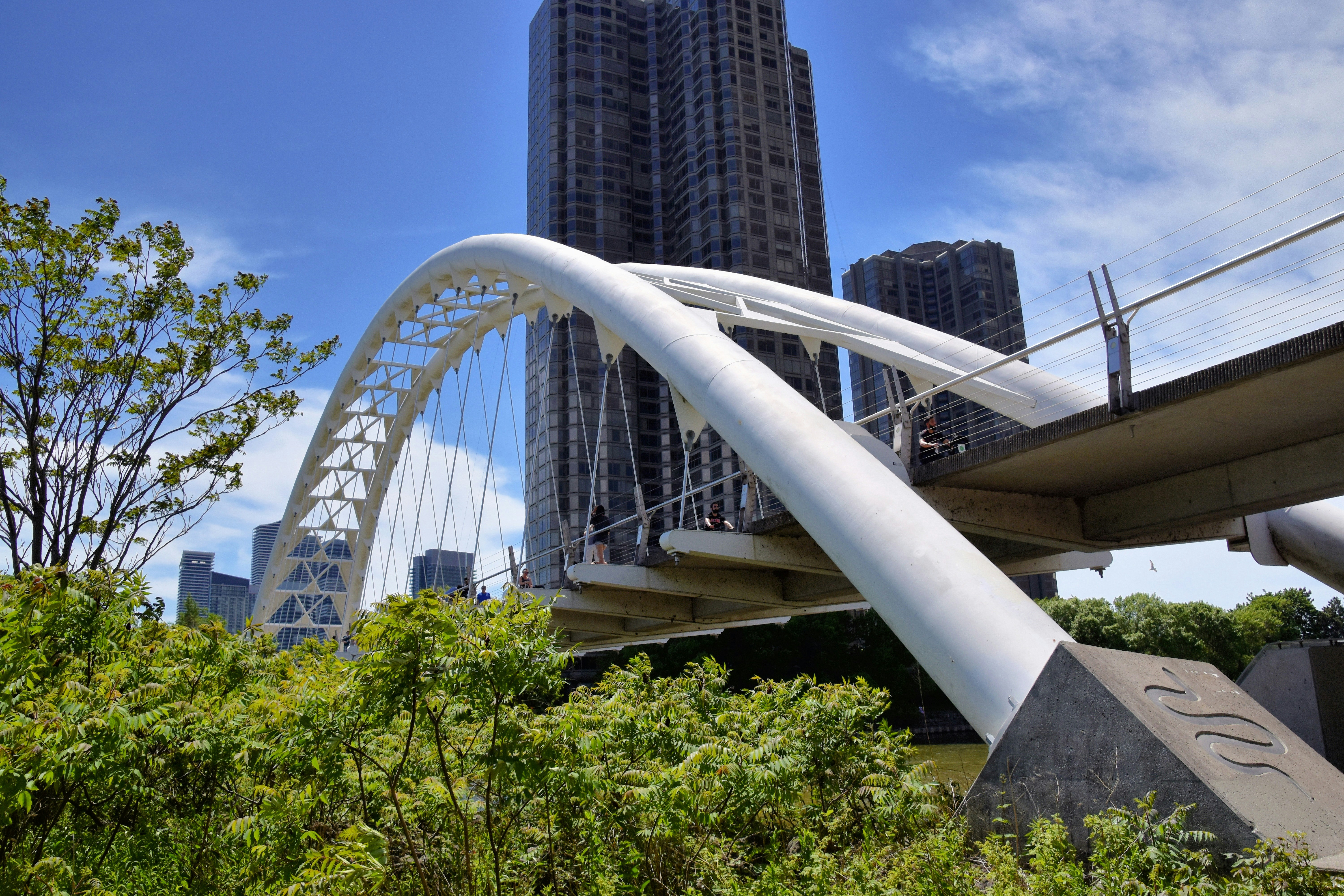 Arc of Steel over Greenery: A Modern Bridge Framed by City Skyscrapers
