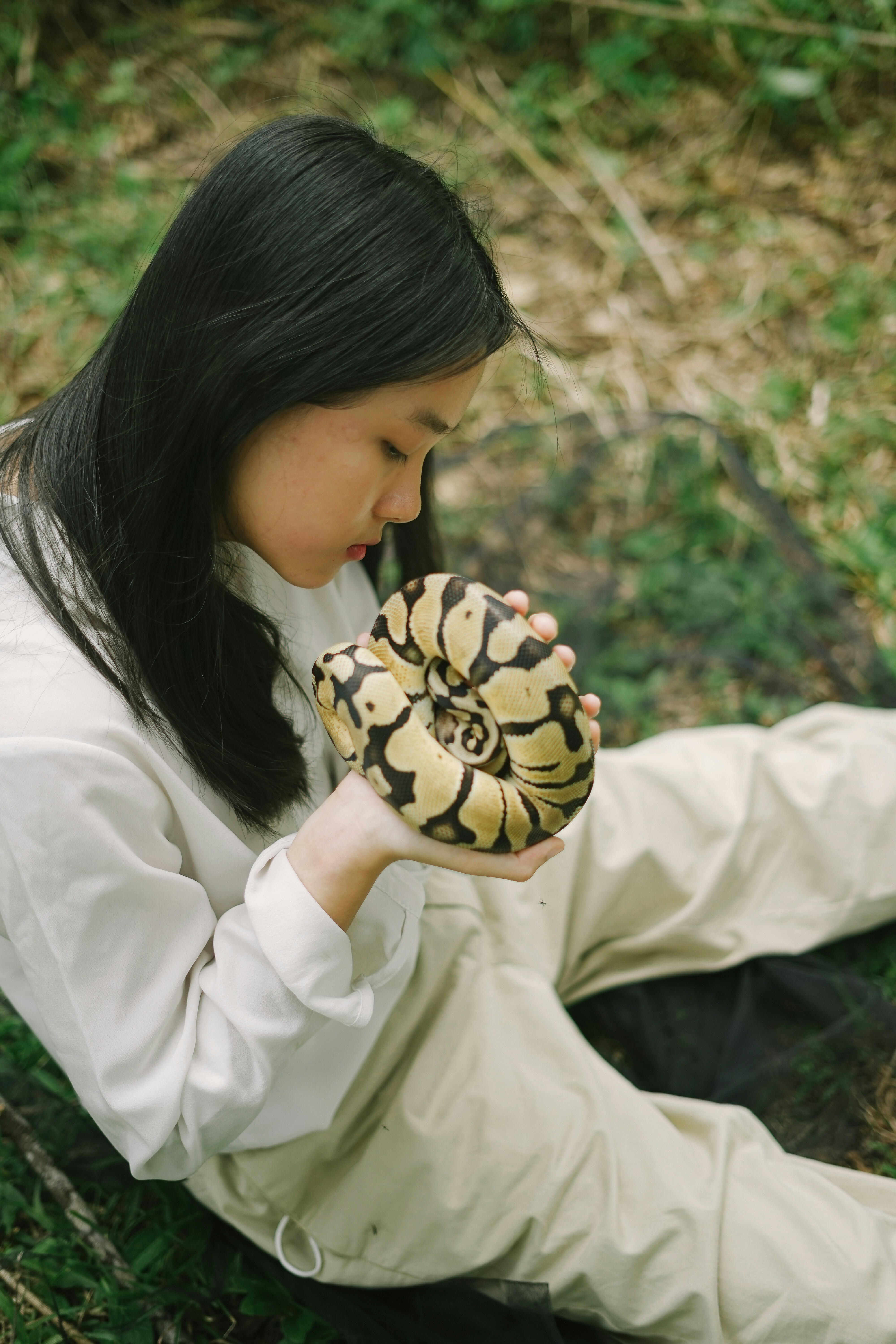 Coiled Kindness: A Quiet Moment with a Ball Python