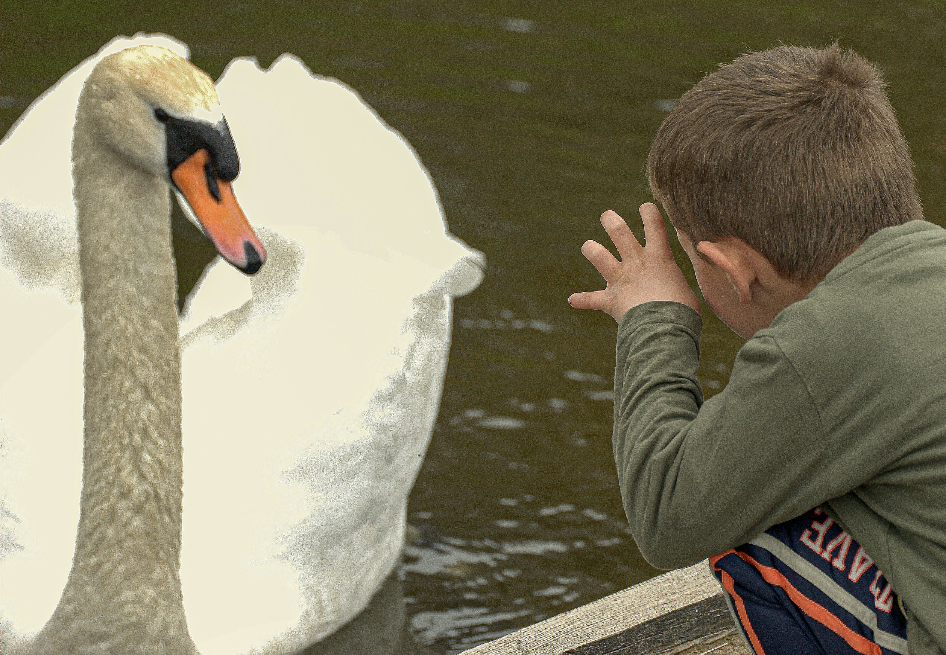 A young boy interacts playfully with a majestic swan near a serene pond. The scene captures the innocence of childhood and the beauty of nature.
