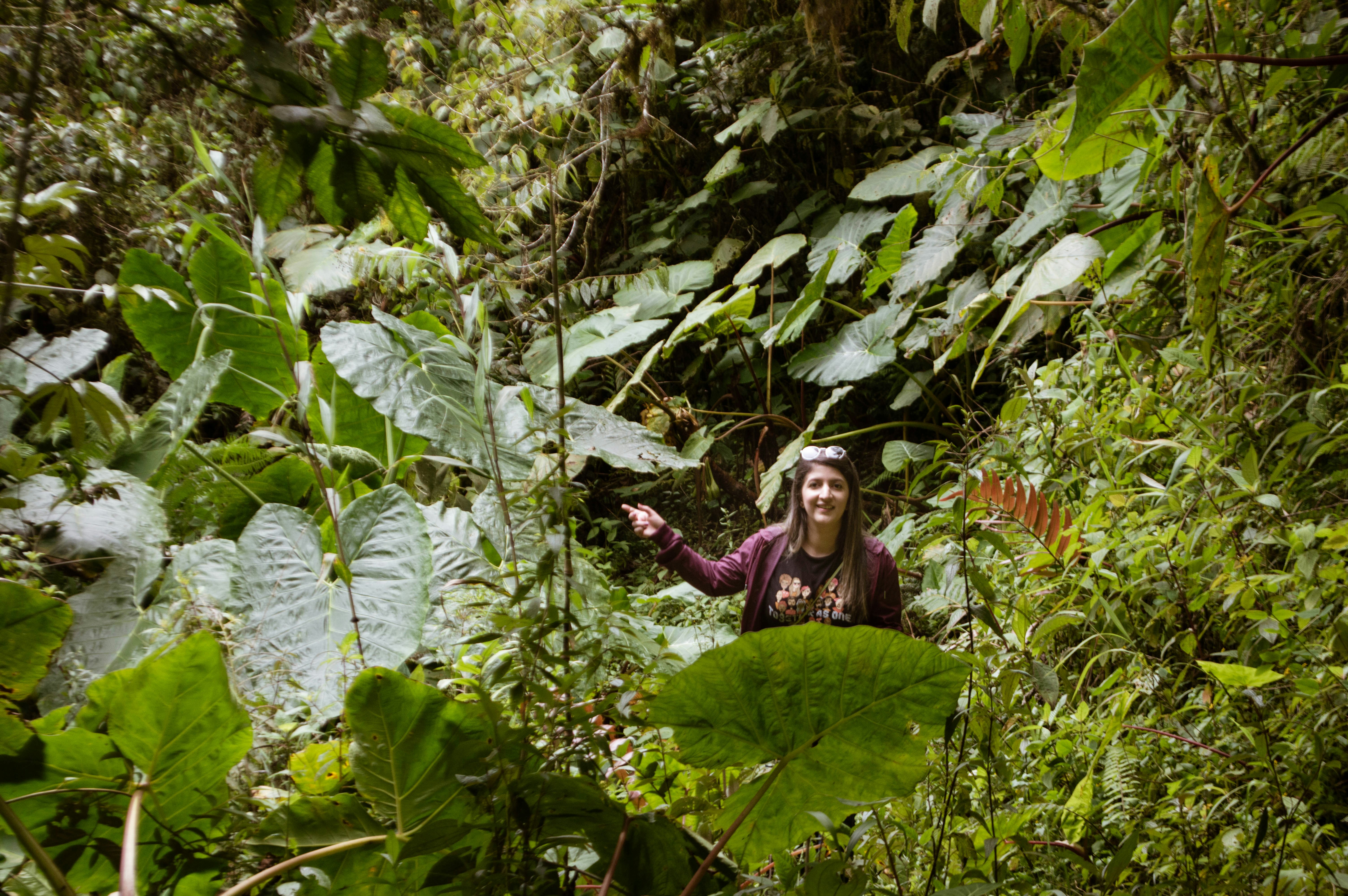 11 Best World’s Largest Jungle Expeditions - largestoftheworld.com