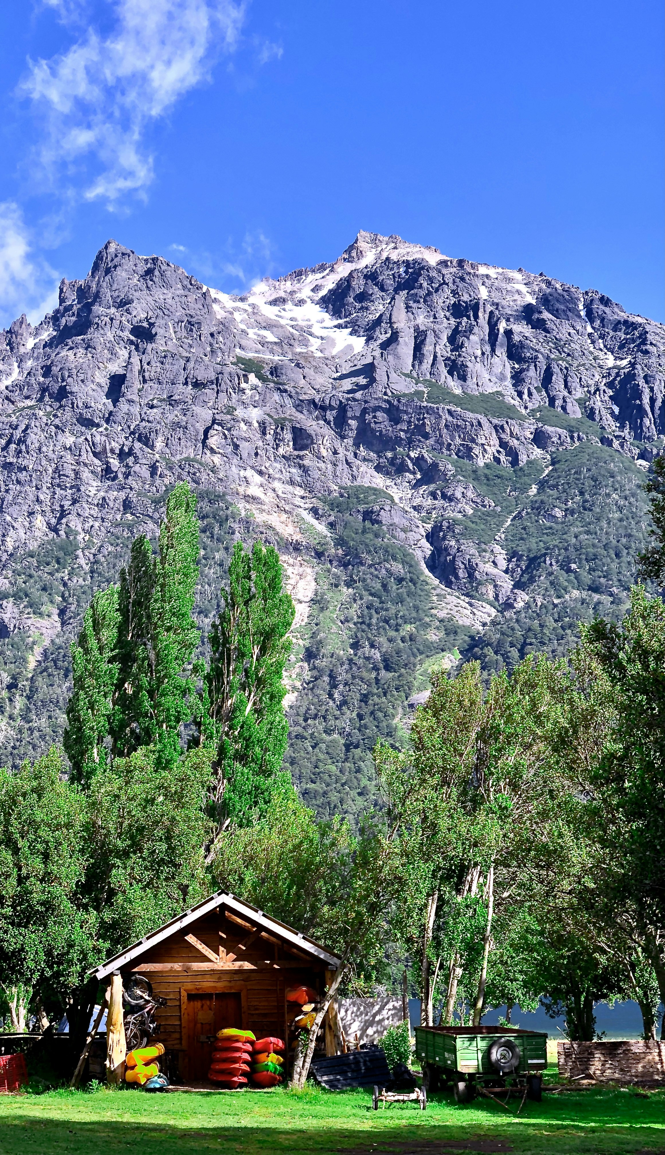 green trees near mountain during daytime