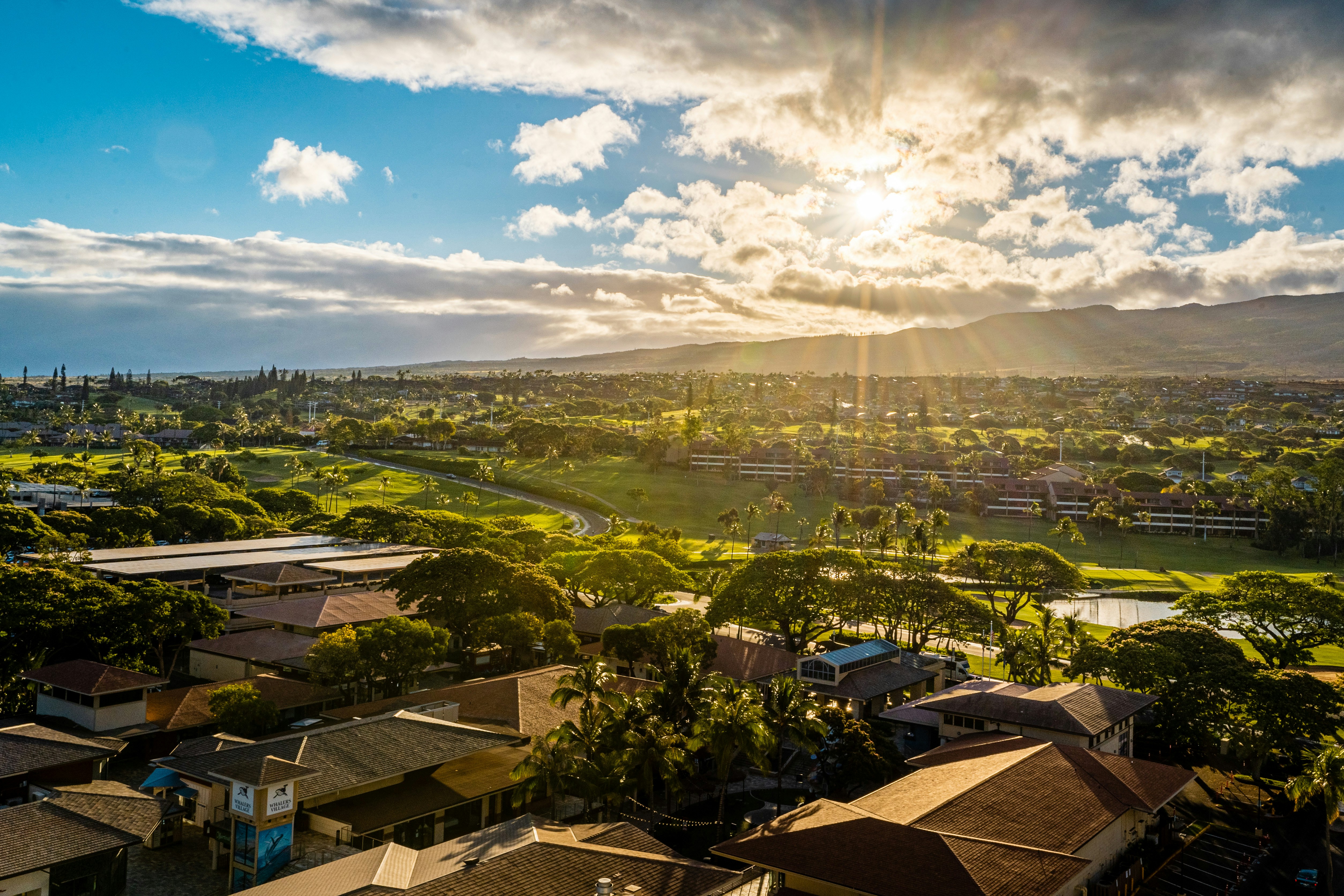 Aerial view of city buildings during daytime photo – Free Maui Image on ...