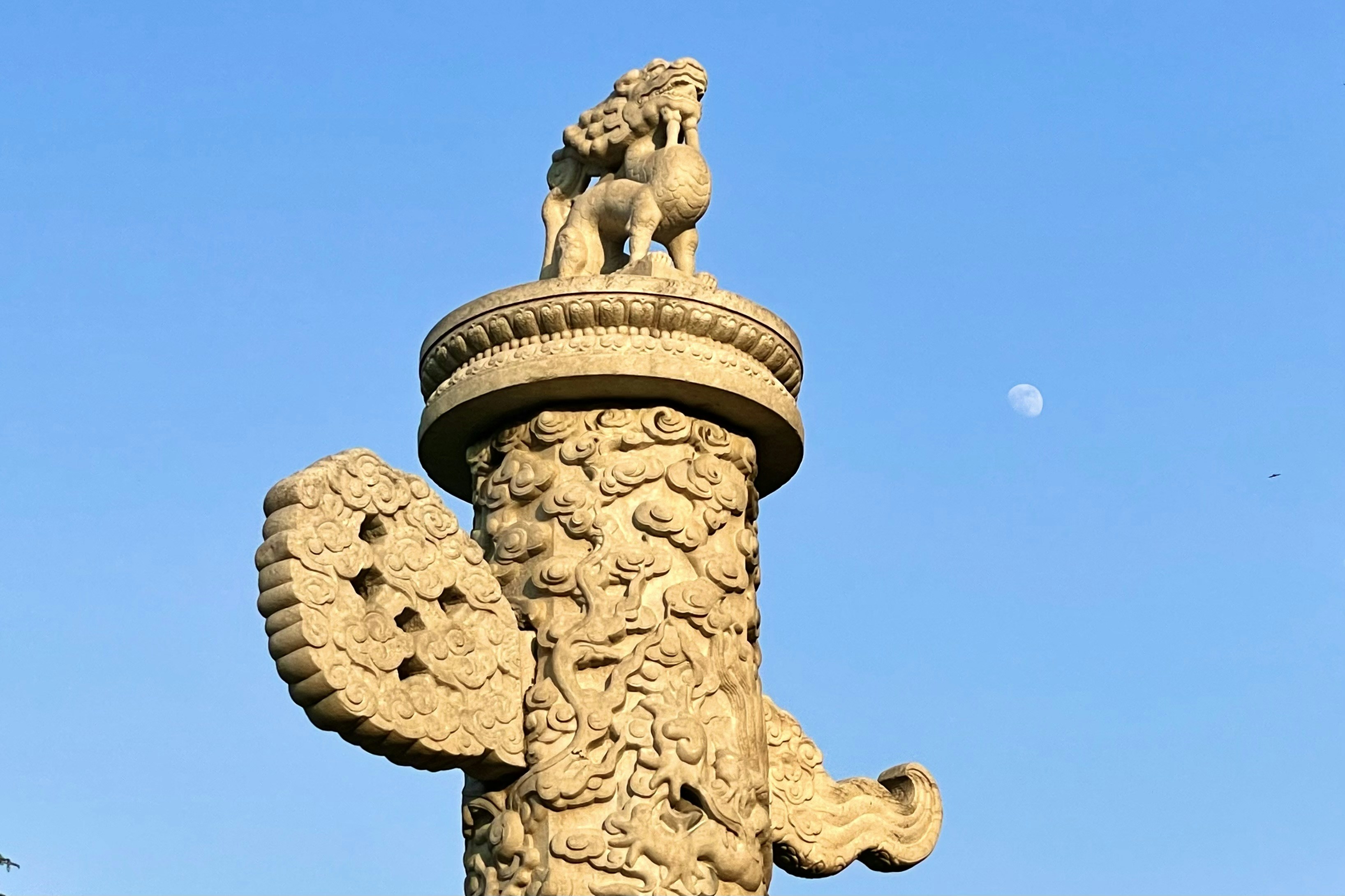Guardians of the Blue: Dragon Pillar and Moonlit Sky