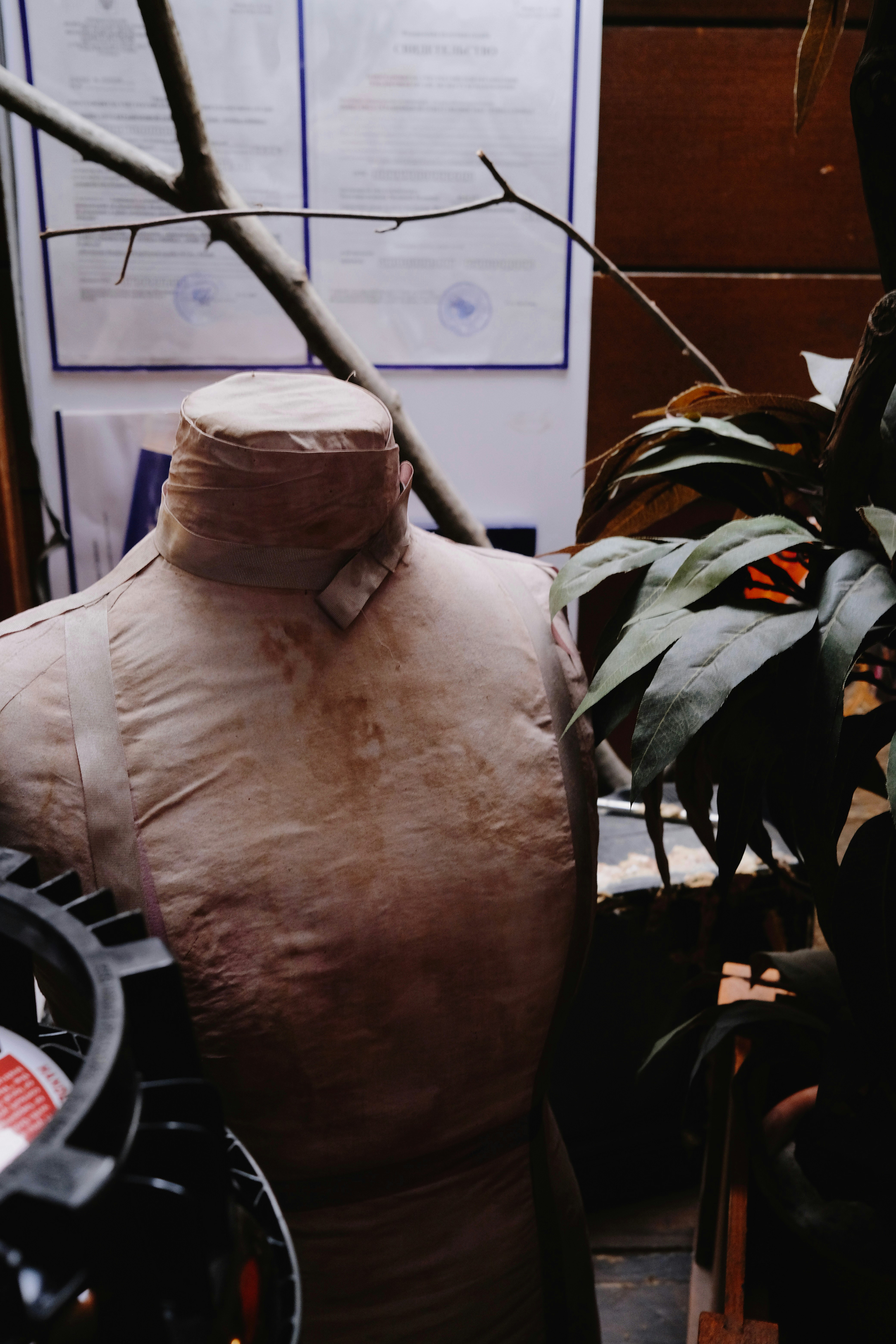 A vintage tailor's mannequin surrounded by foliage and documents, capturing the essence of craftsmanship and history.