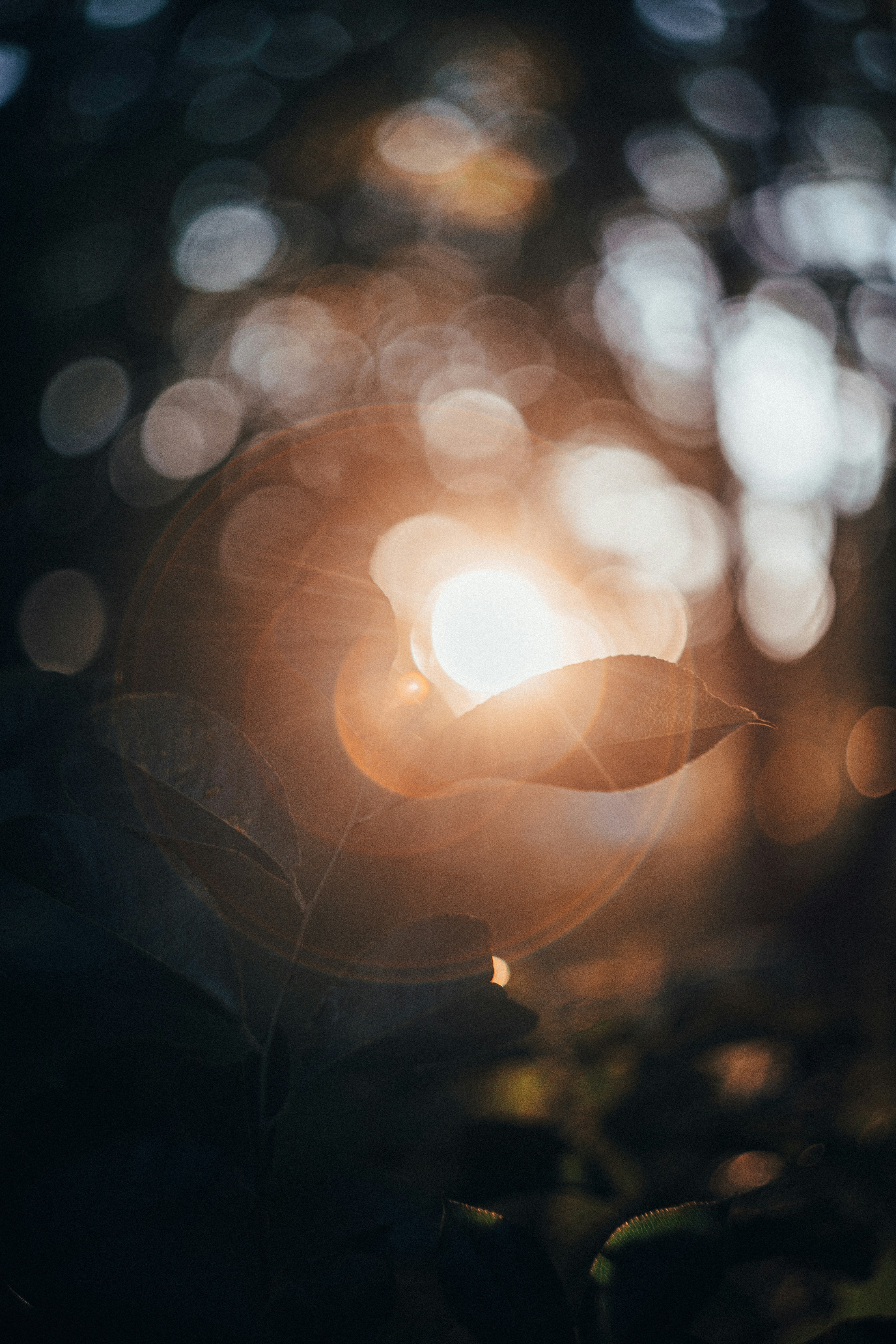 Bokeh photography of yellow light photo – Free Light Image on Unsplash