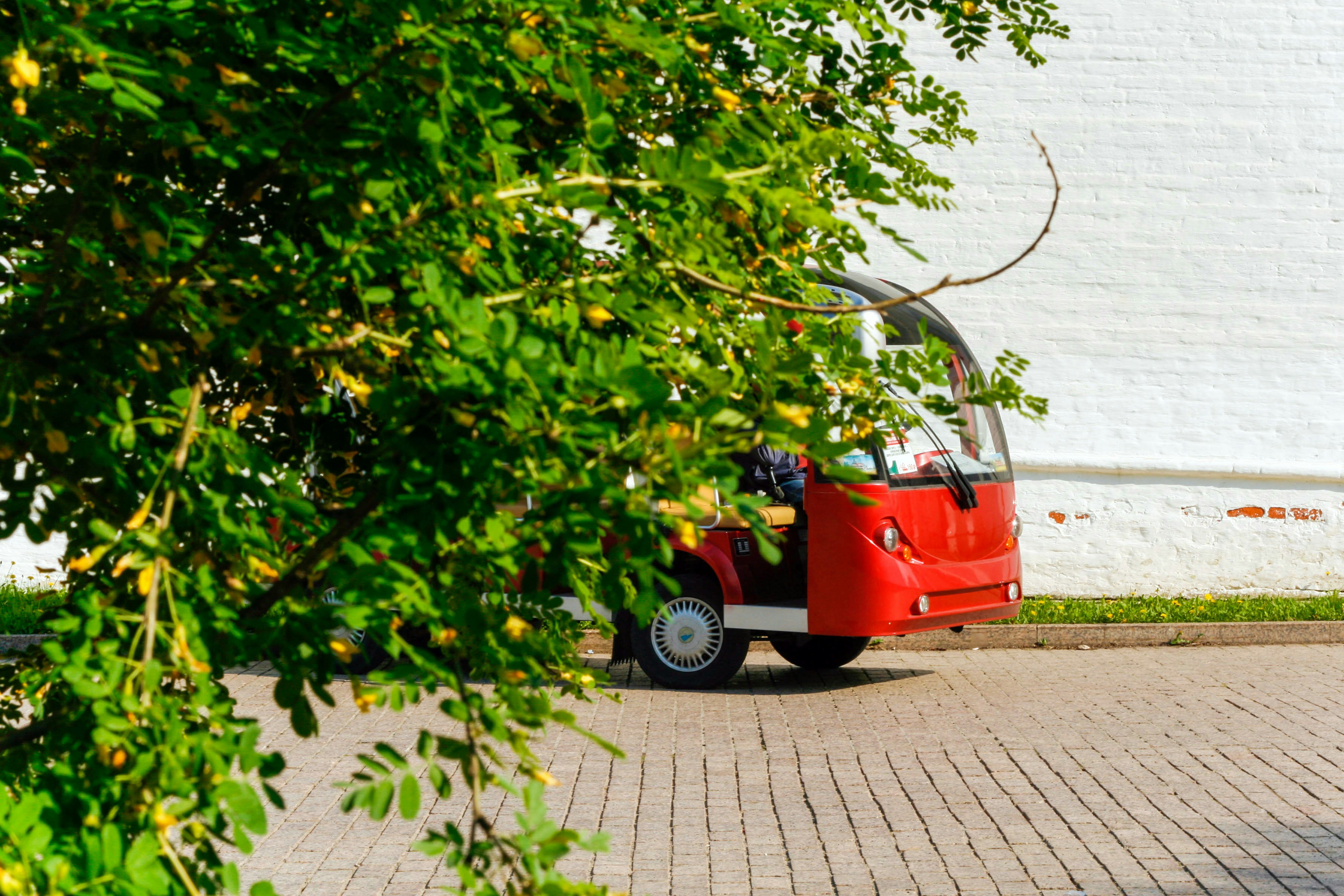 Pousse-pousse automatique rouge et noir garé à côté d'un arbre vert ...