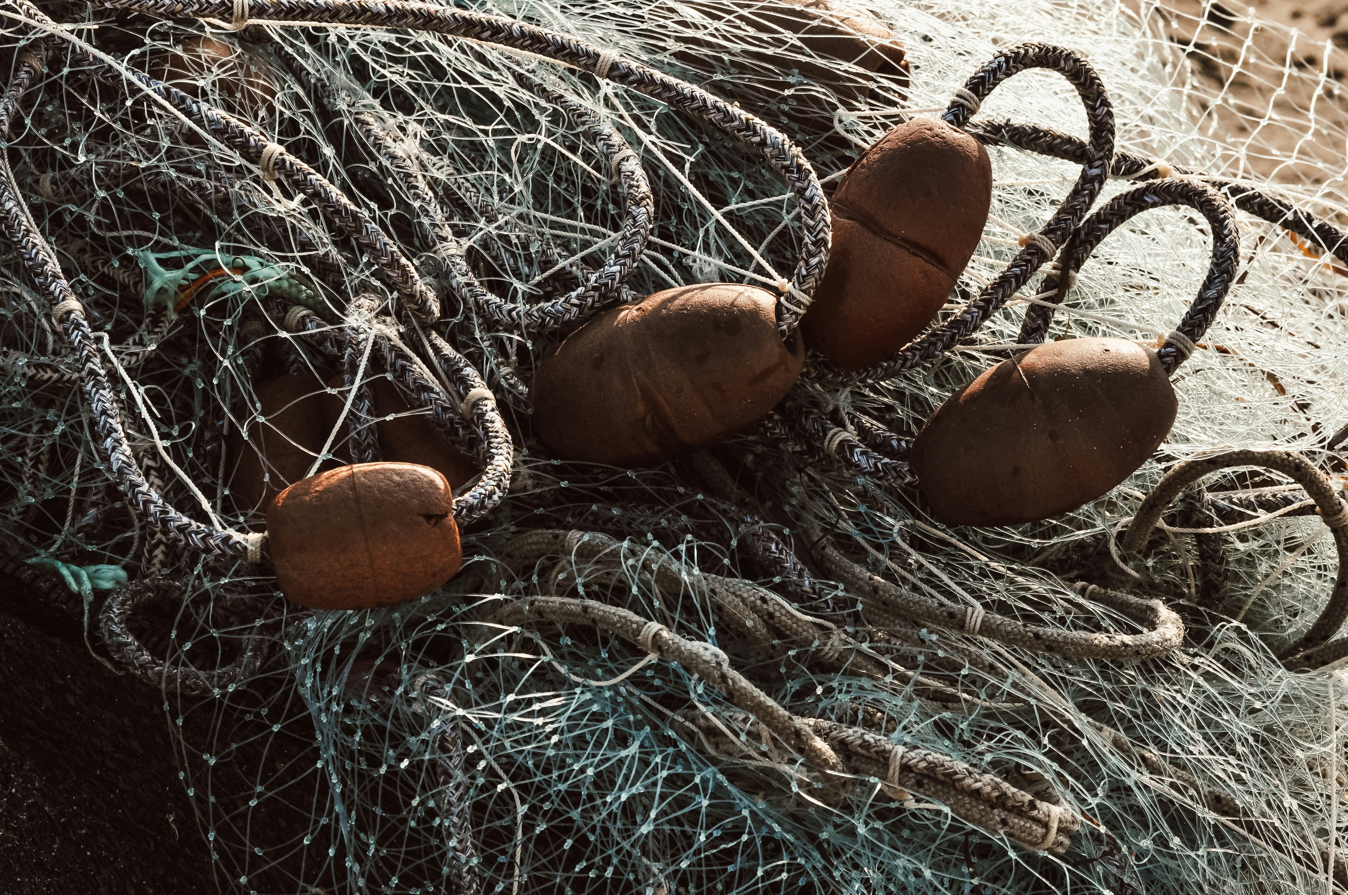 Close-up of fishing gear, featuring floats and netting, highlighting the intricate details of maritime equipment.
