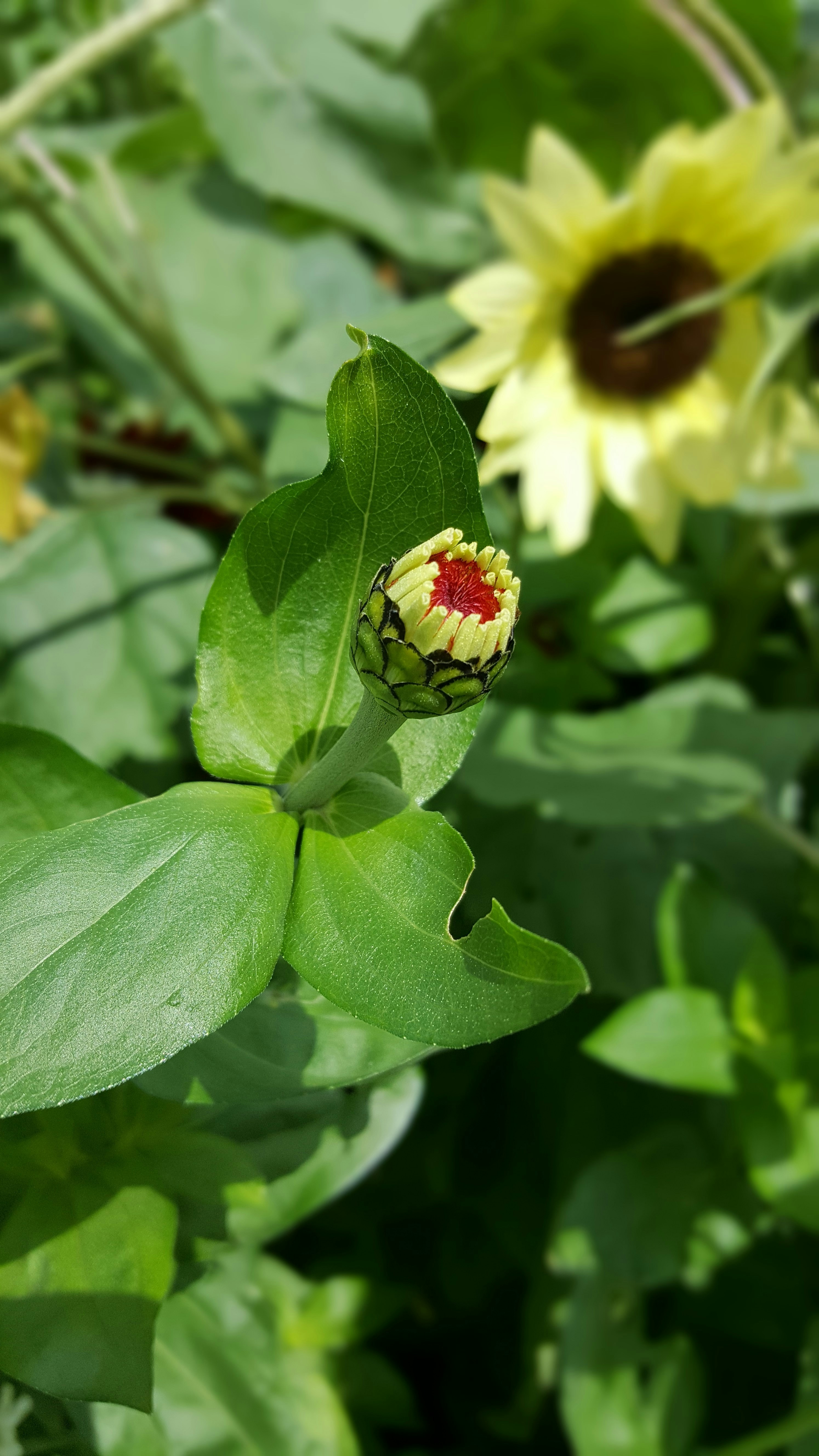 Steve Isenberg (@ssi112) | Komunitas Foto Unsplash