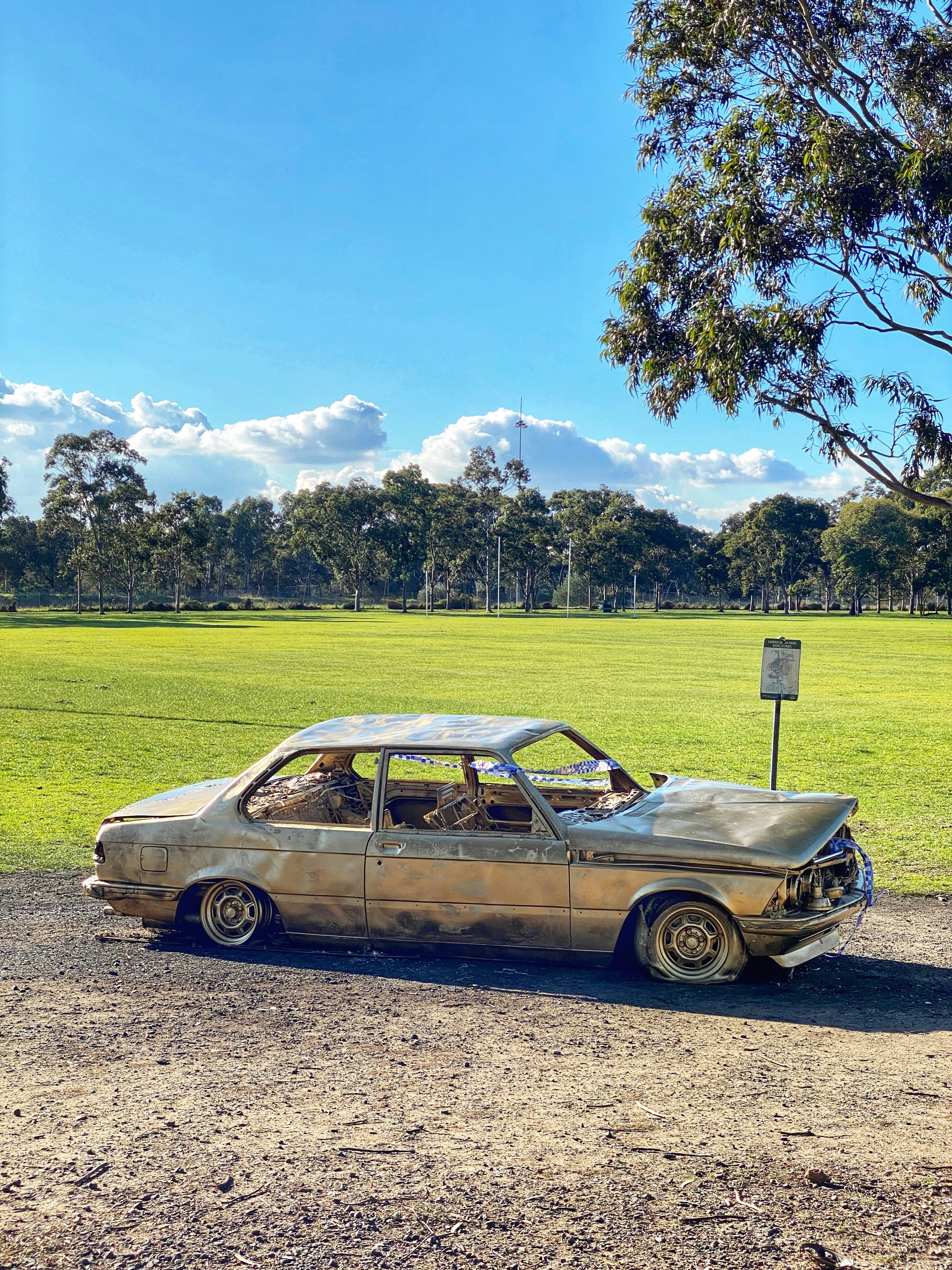 blue sedan on green grass field during daytime